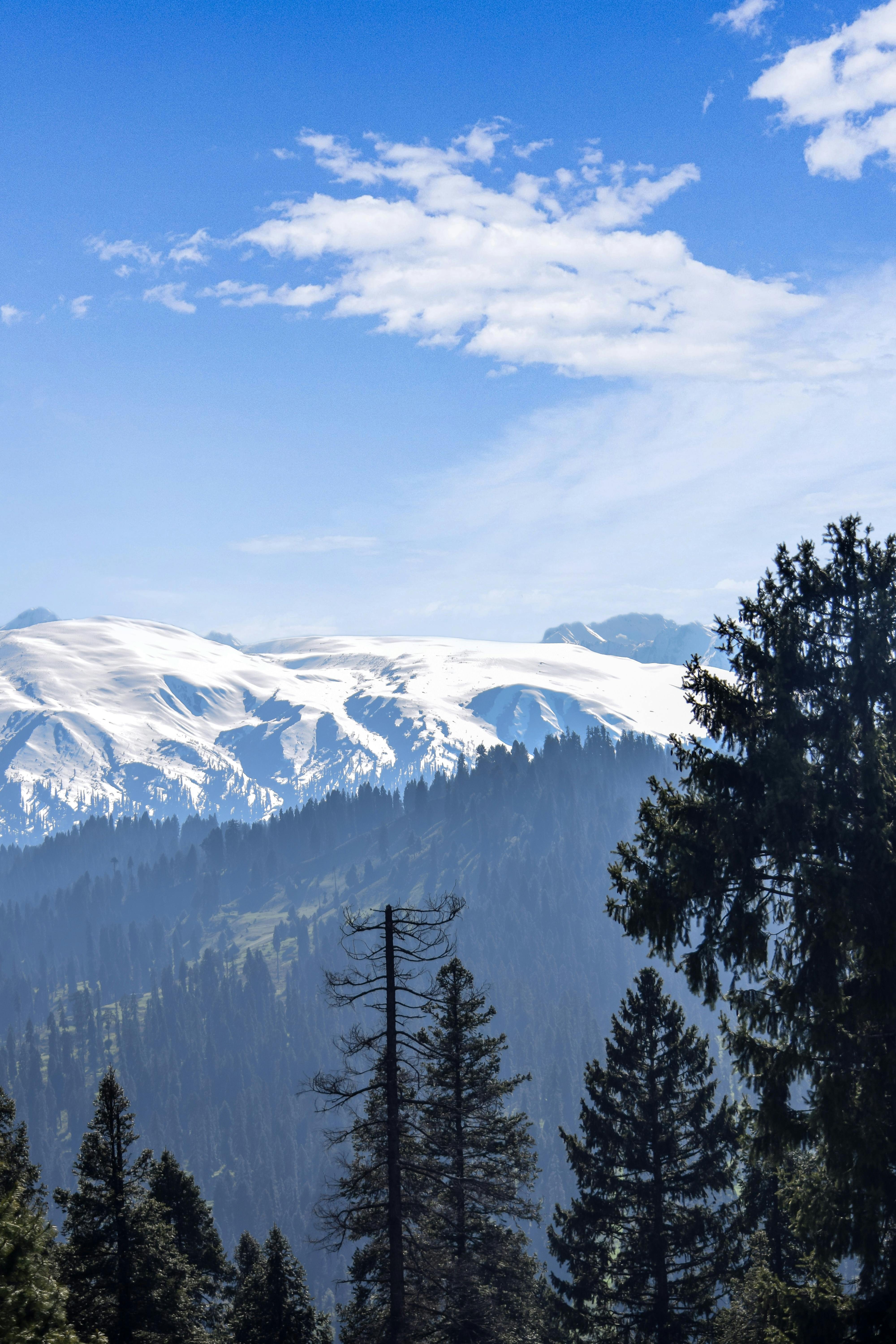 Ninja Needles Photos, Download The BEST Free Ninja Needles Stock Photos ...