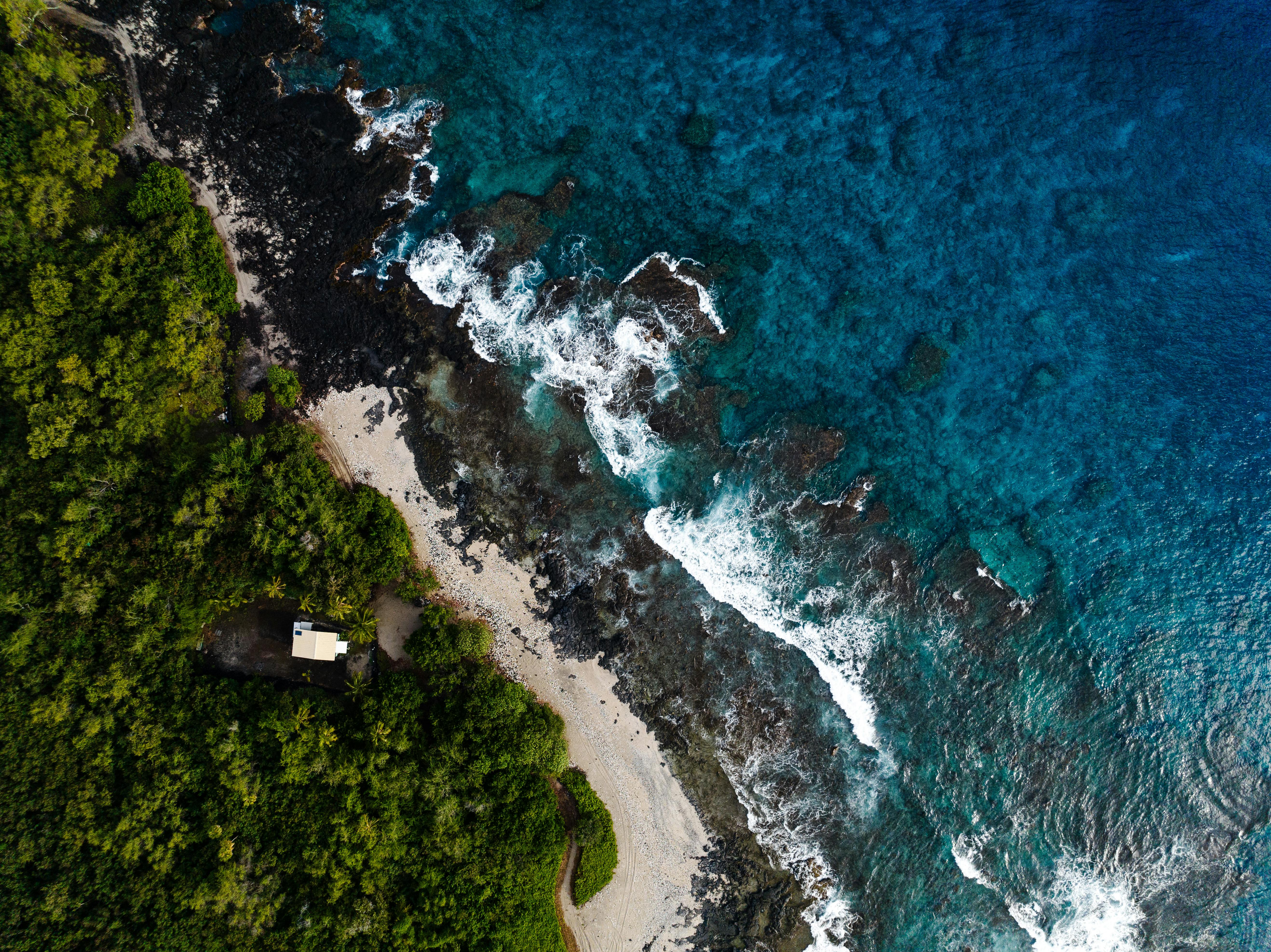 Top View of a Tropical Coast · Free Stock Photo