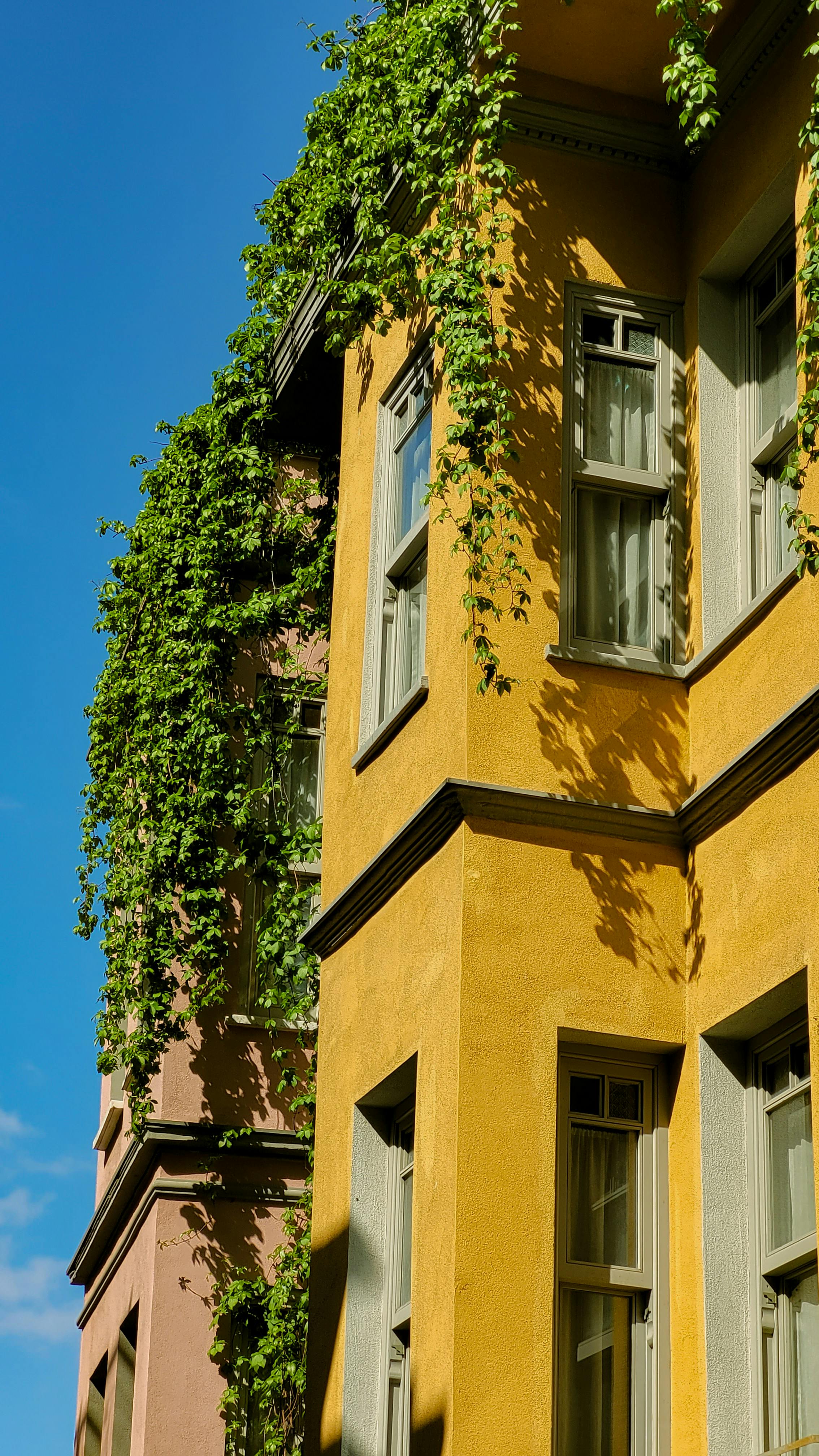 Yellow Facades Photos, Download The BEST Free Yellow Facades Stock ...