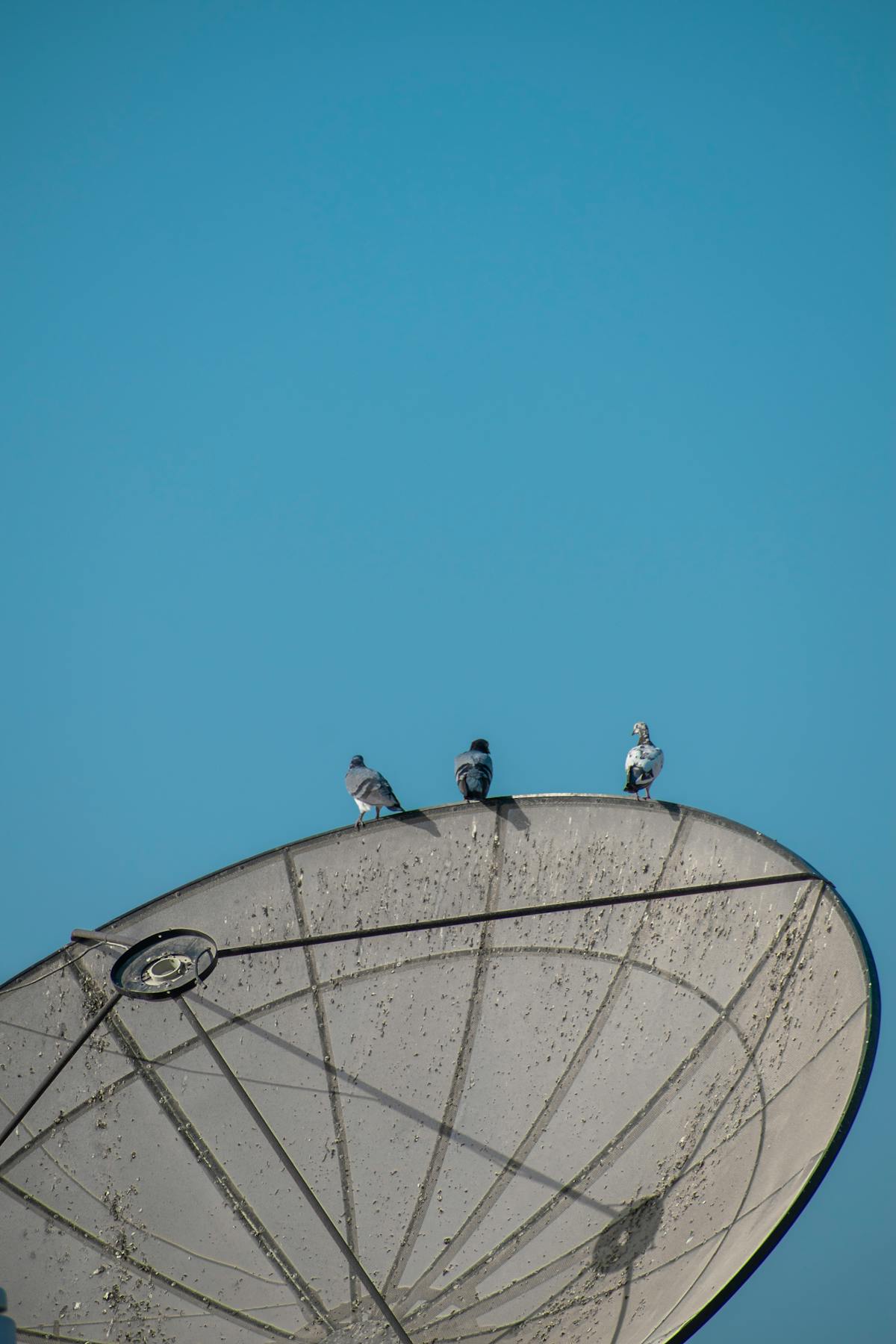 Simple Backgrounds Photos, Download The BEST Free Simple Backgrounds ...