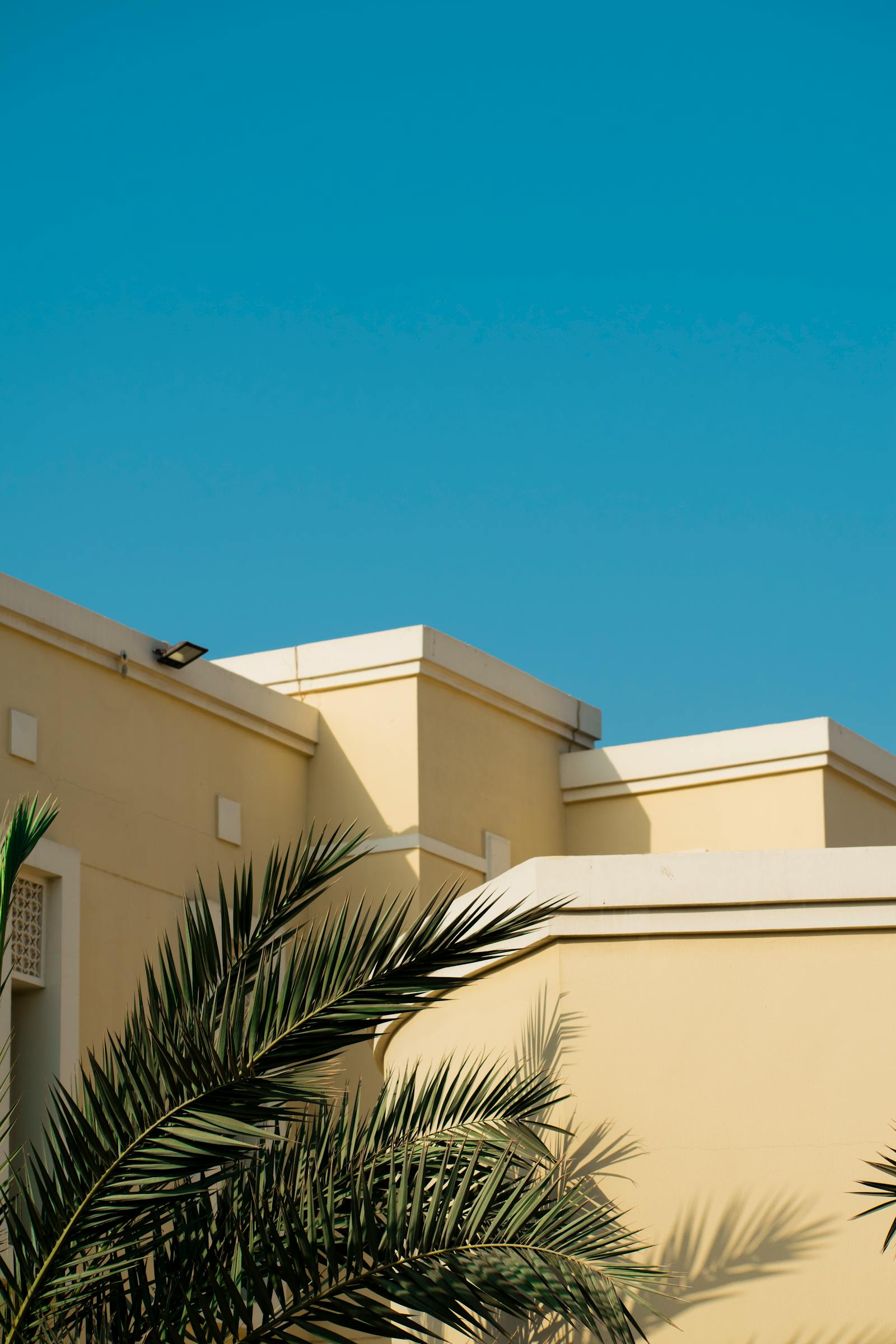 Aesthetic Backgrounds Photos, Download The BEST Free Aesthetic ...