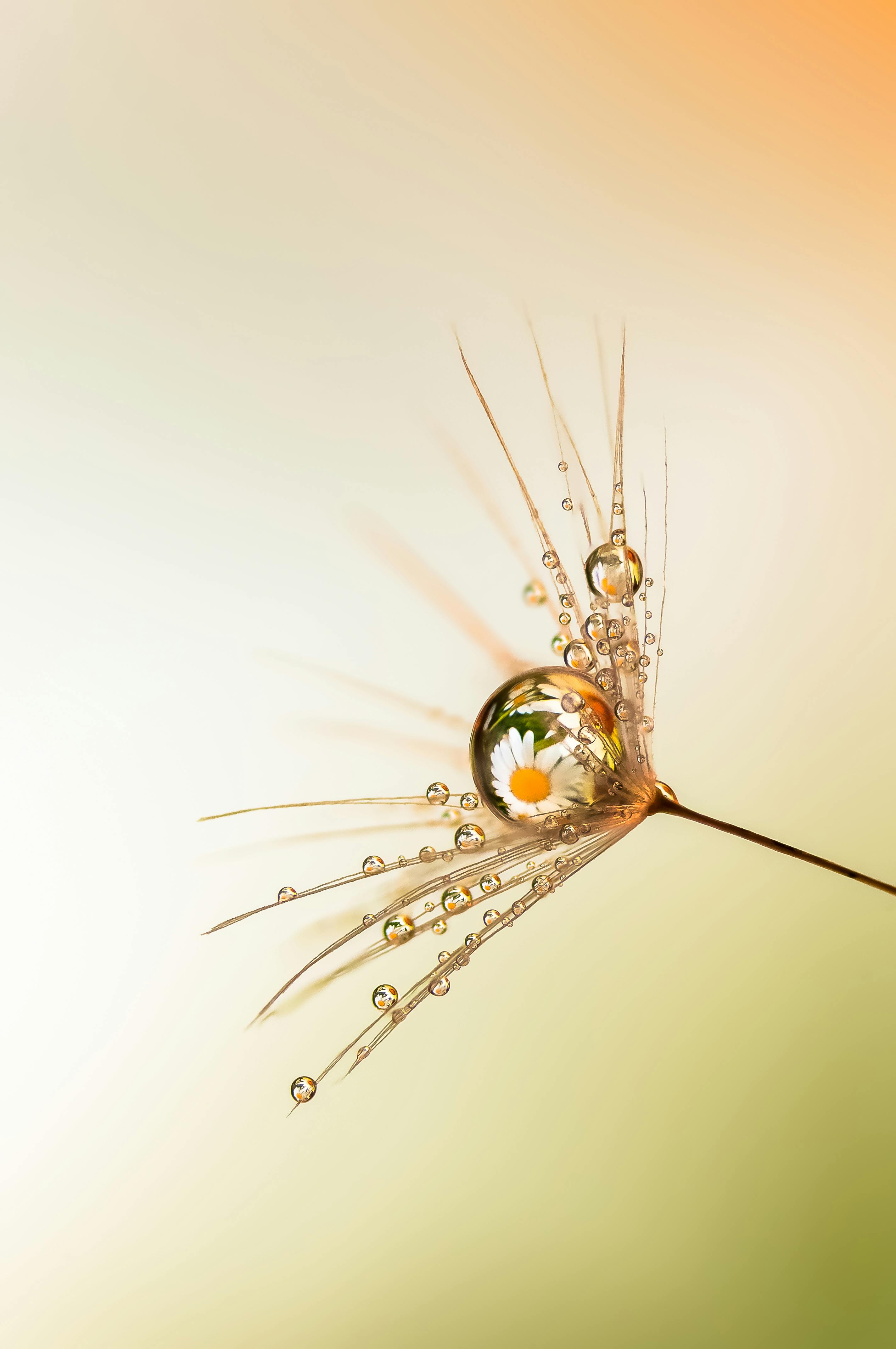 Patel Background Photos, Download The BEST Free Patel Background Stock ...