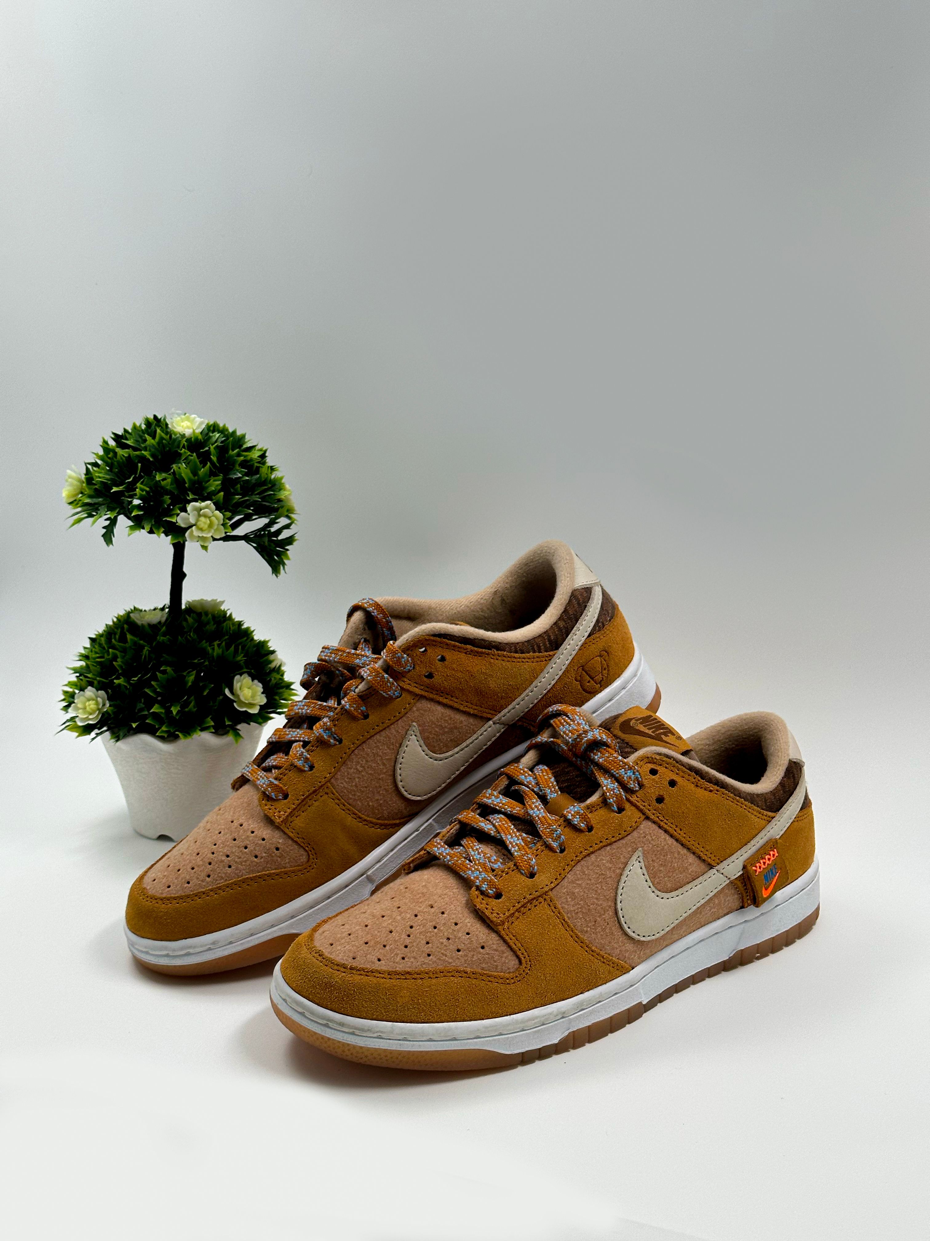 Shoes and Plant on White Background · Free Stock Photo