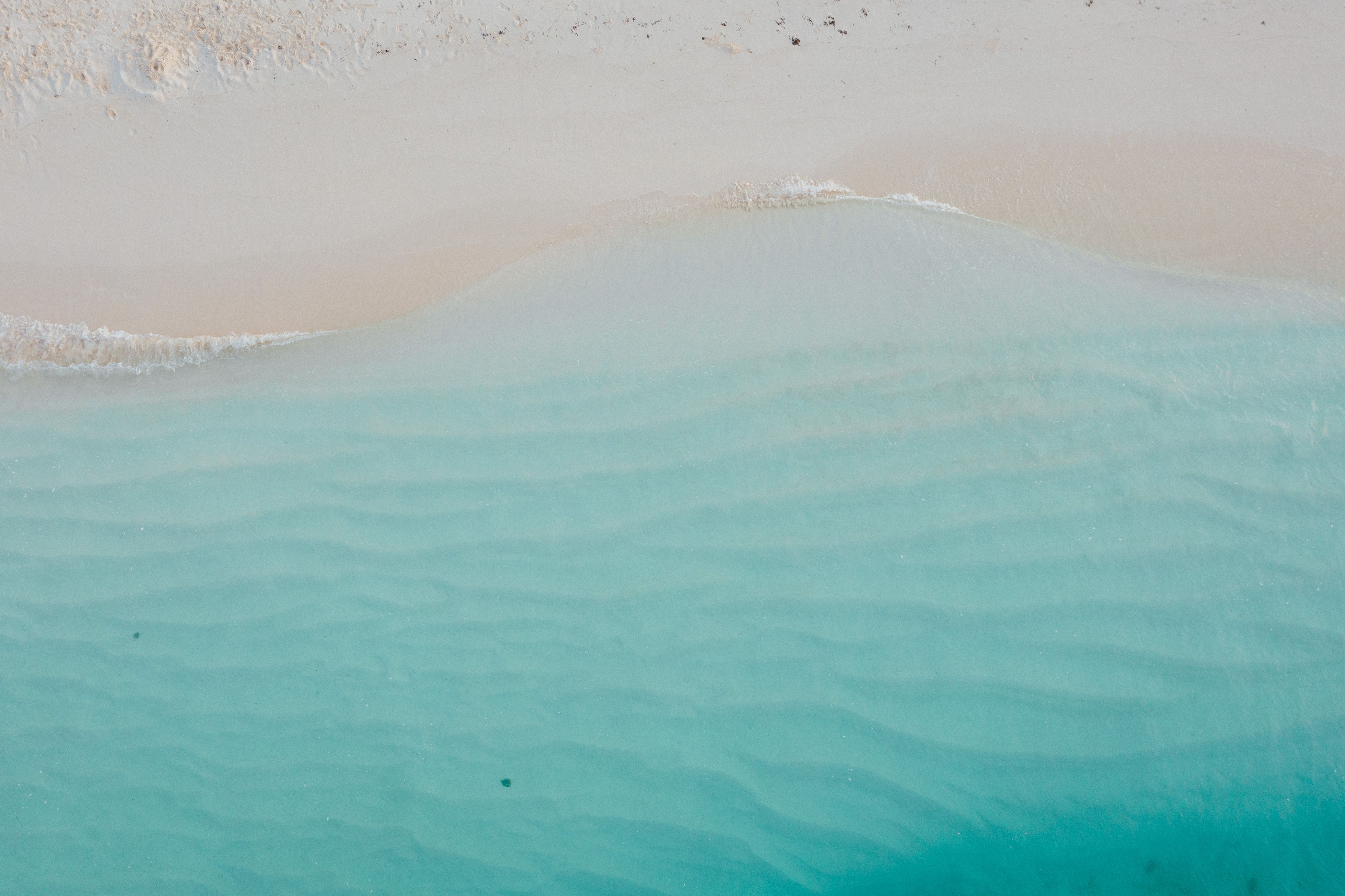 Sea Water Waving Into the Shore · Free Stock Photo