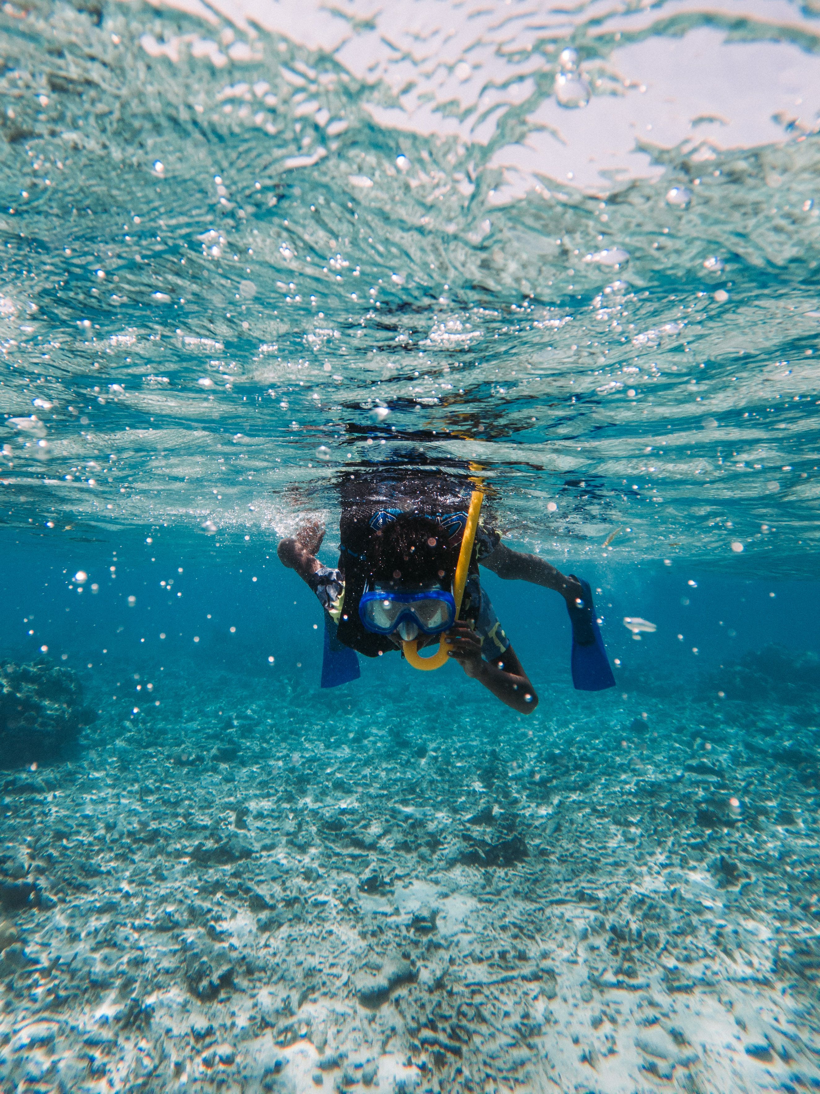 Woman Snorkeling over Coral Reef · Free Stock Photo