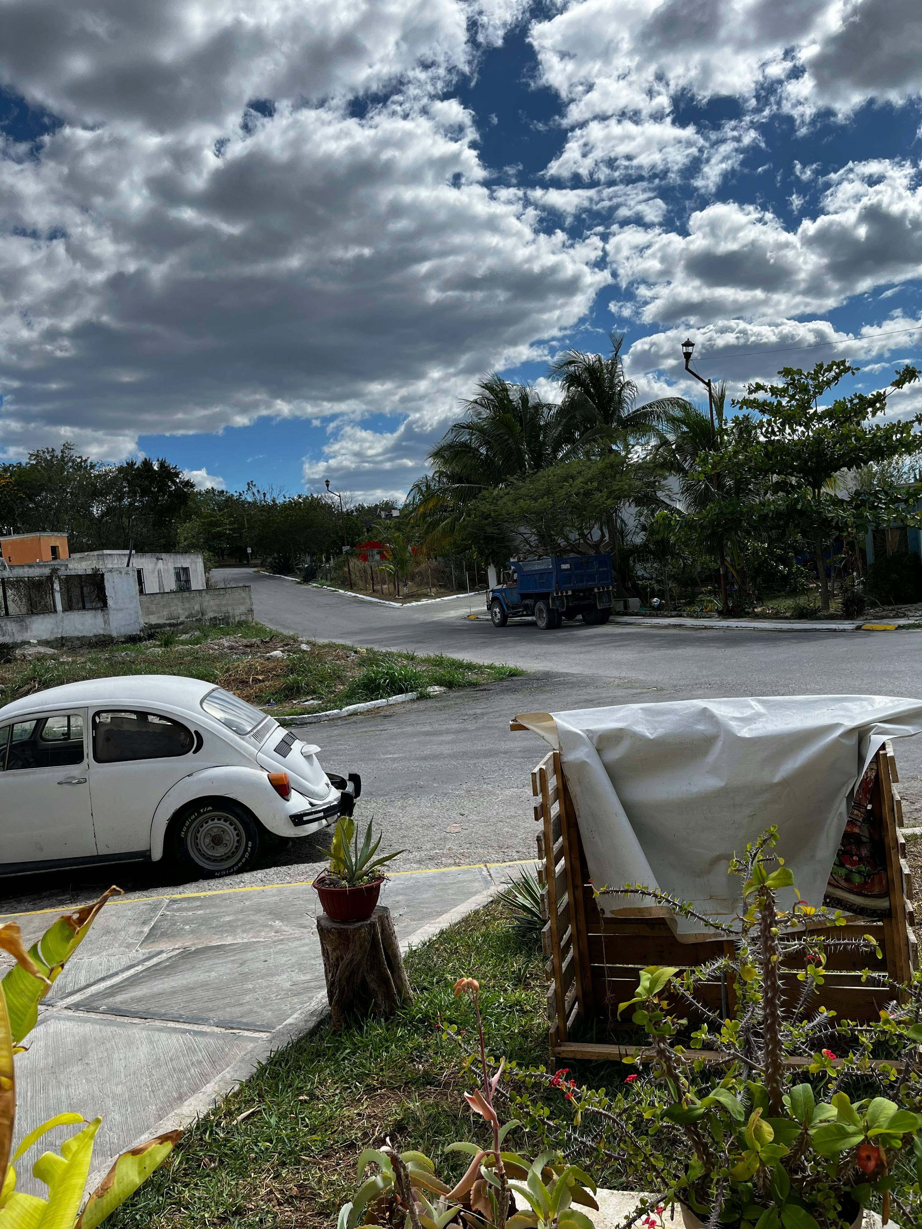 Timo van Overdijk - Fotografía