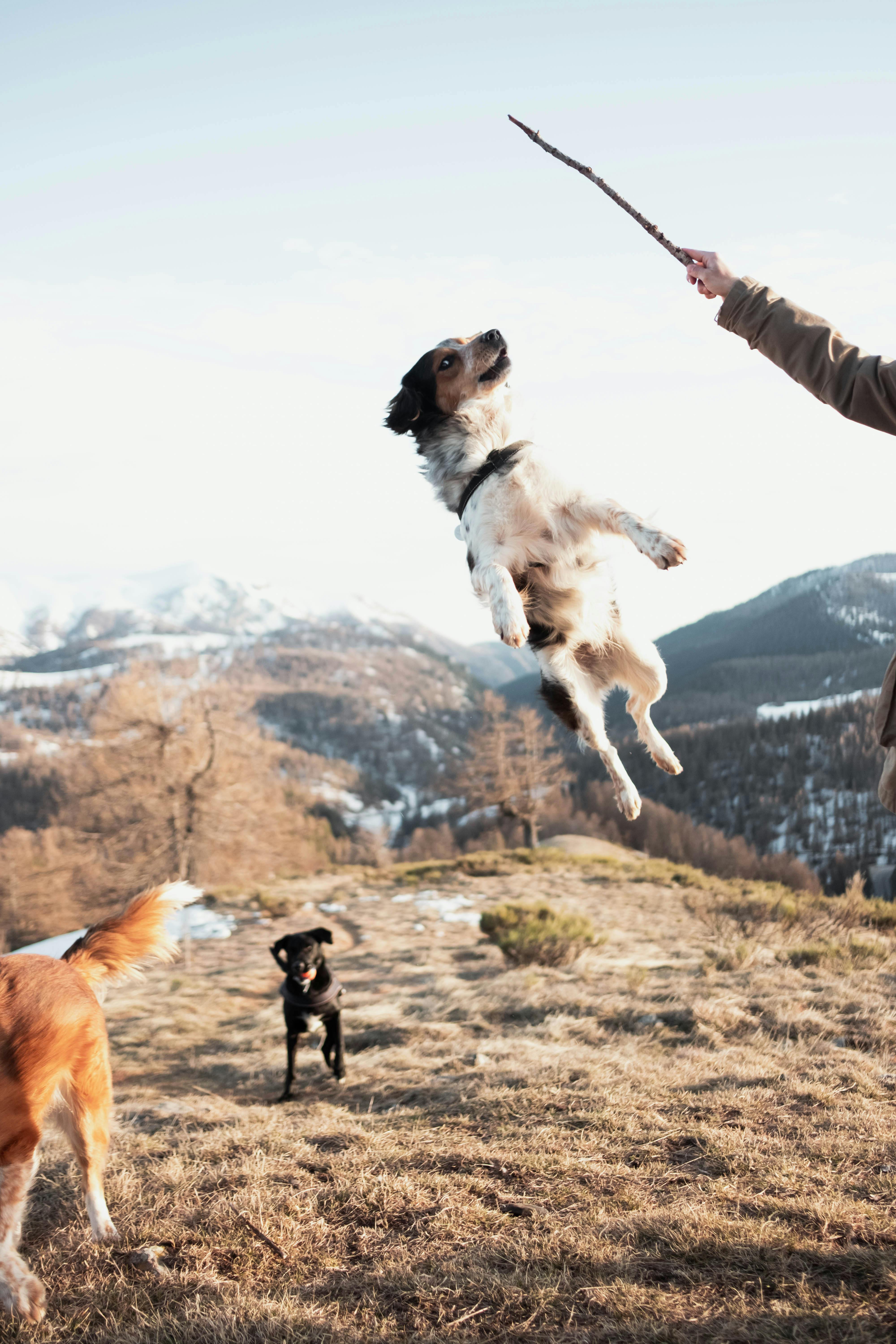 Manipulative Play Area Photos, Download The BEST Free Manipulative Play ...