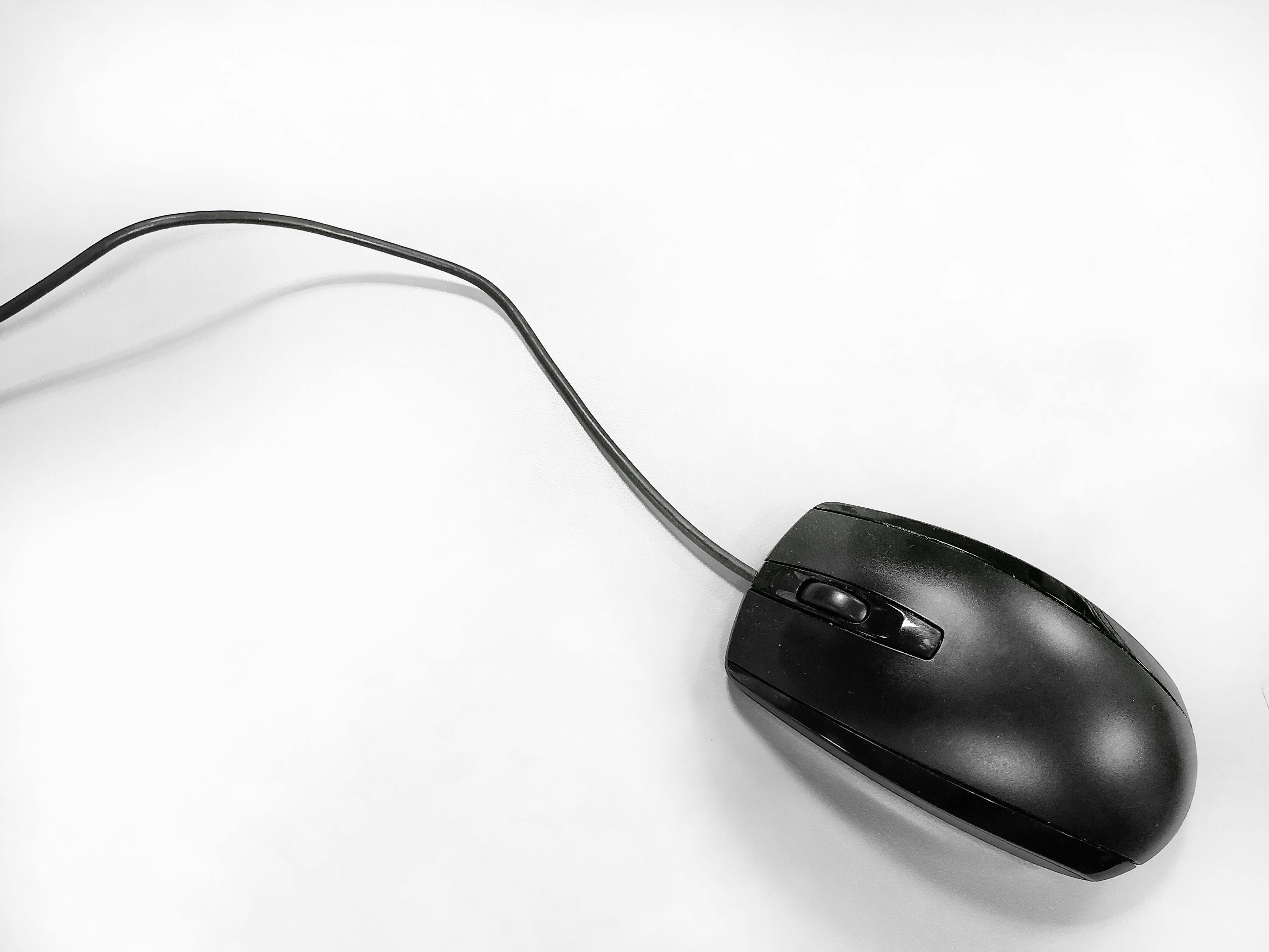 Mouse 1 Photos & Videos Collected by priyo widdi