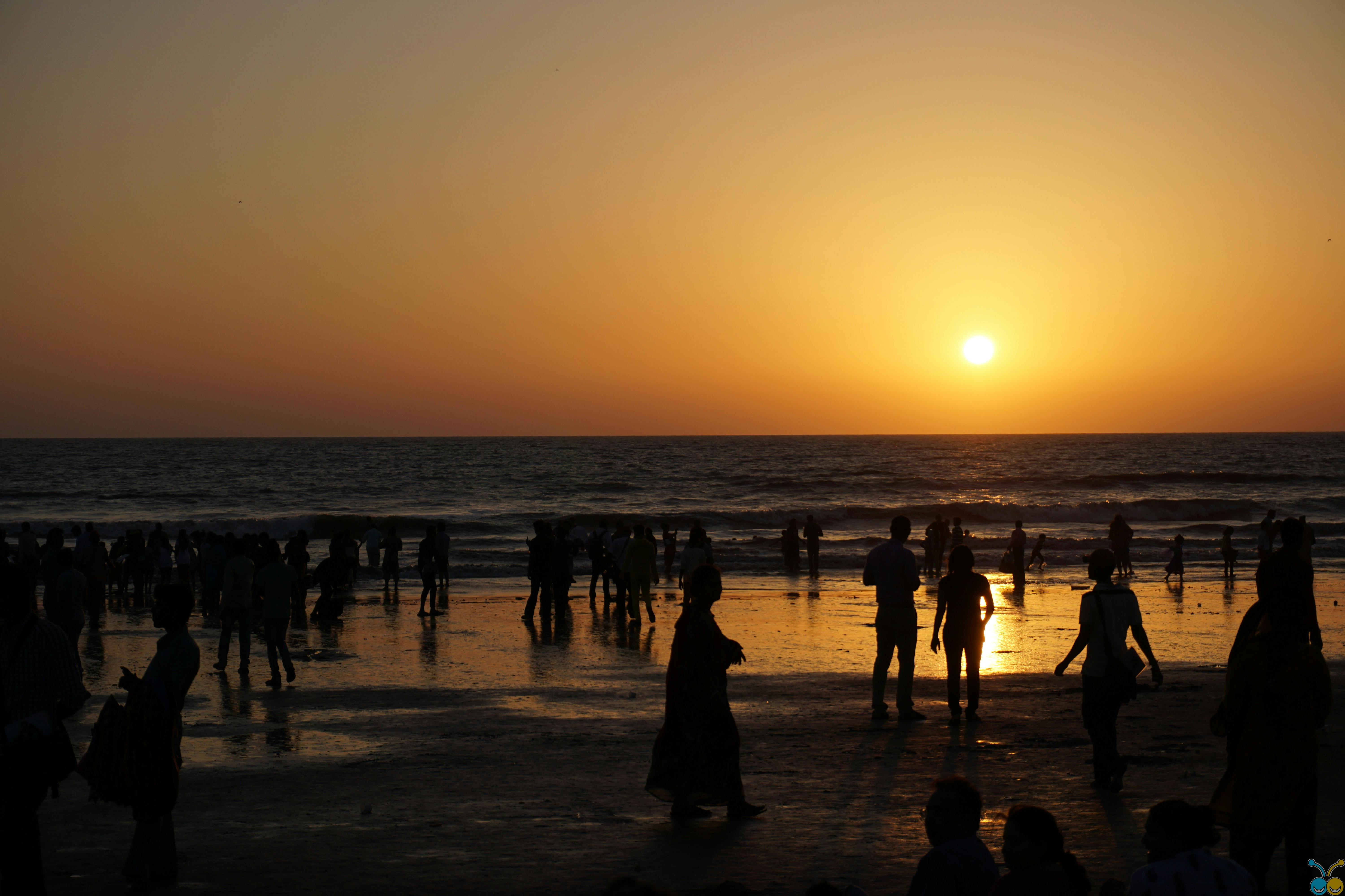 Silhouettes of People on Beach at Sunset · Free Stock Photo