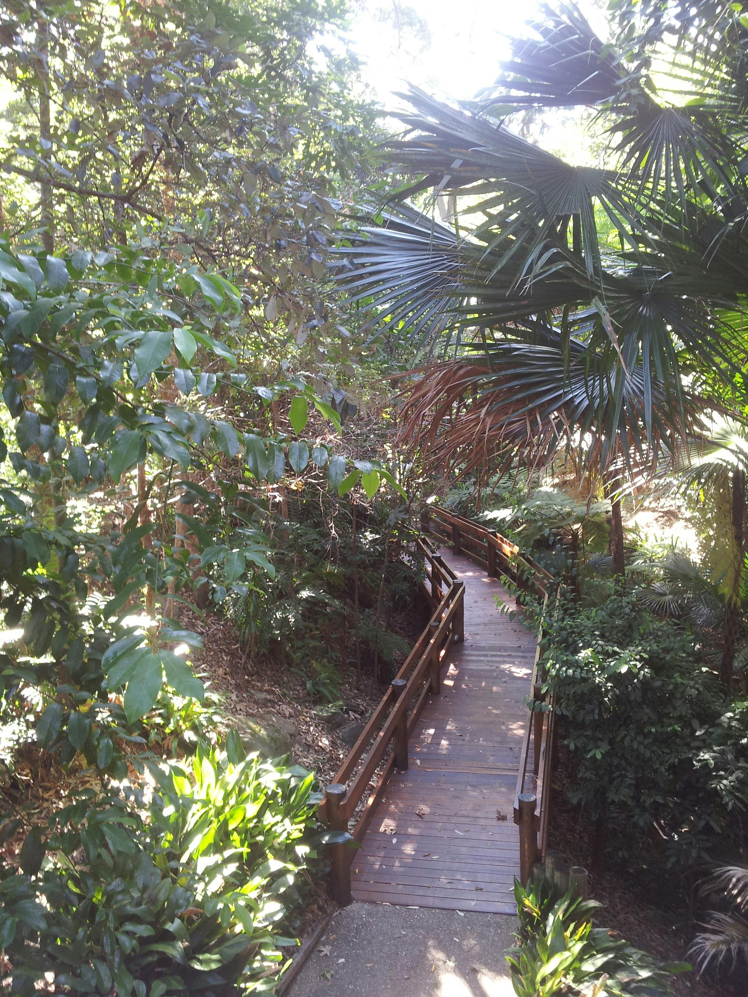 Australia 84 Photos & Videos Collected by Siren Watcher