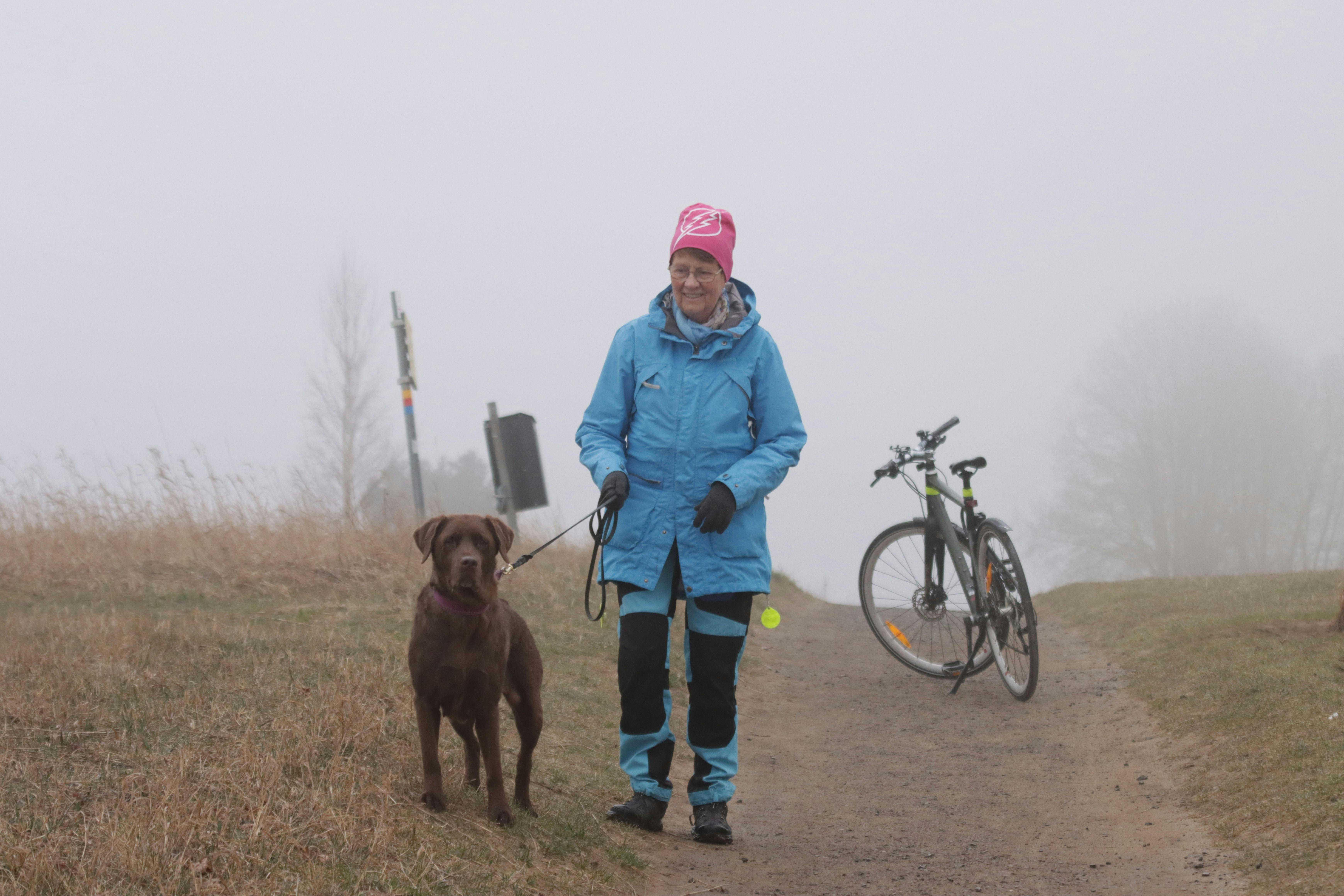 Mist Overlay Photos, Download The BEST Free Mist Overlay Stock Photos ...