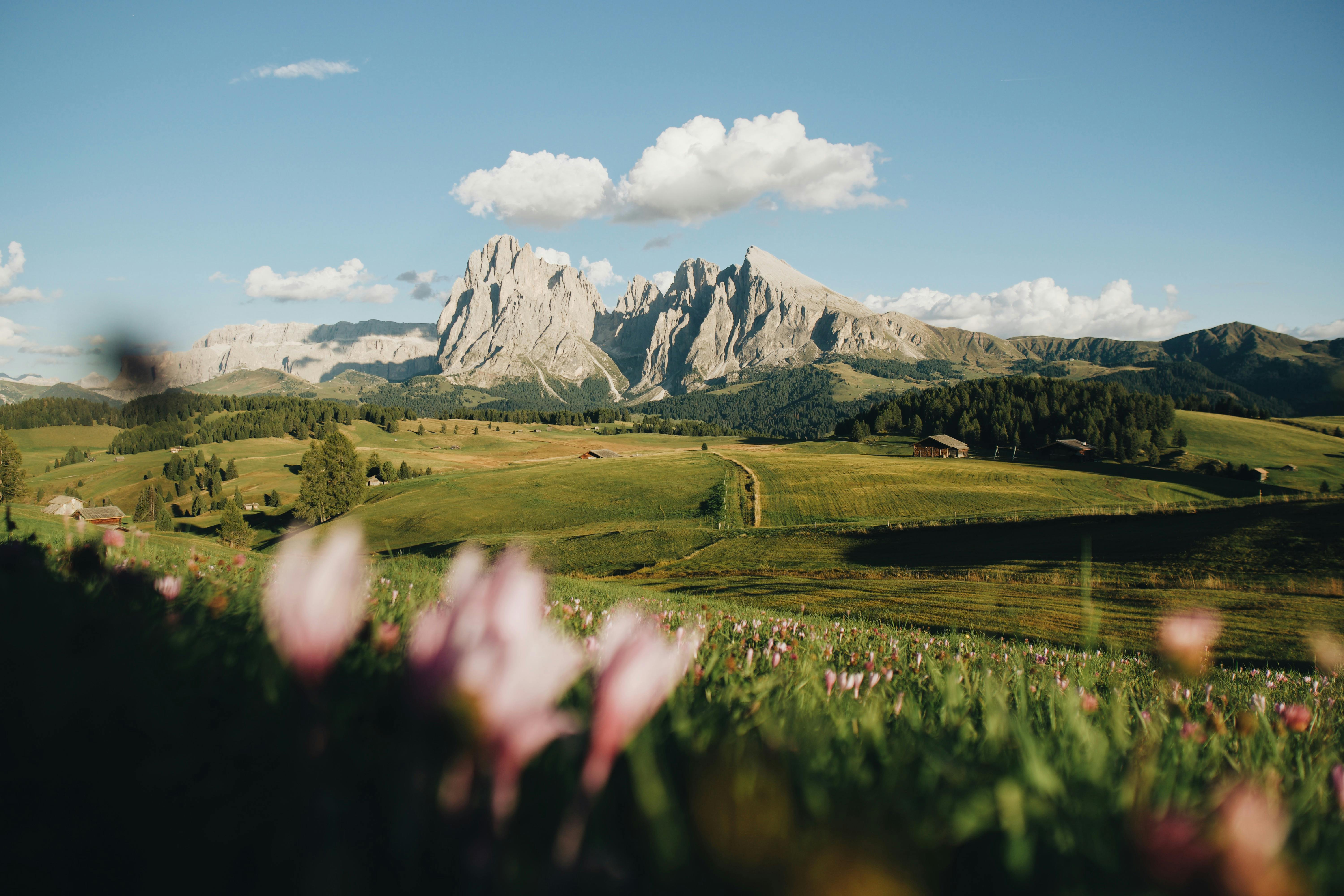 90.000+ Foto Free Futuristic Wallpaper Terbaik · Unduh Gratis 100% ...