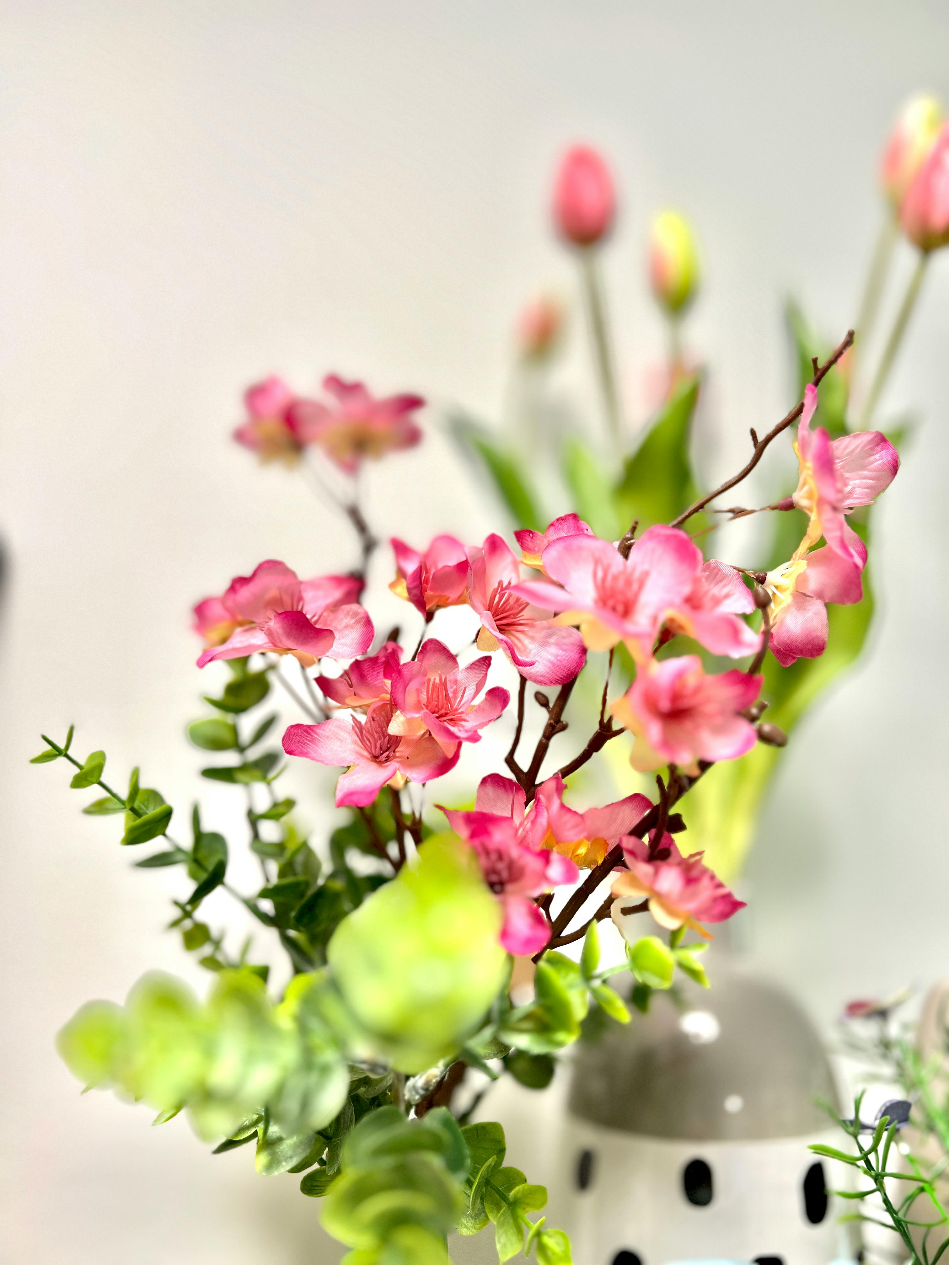 Pink Blooming Flowers Against a Beige Background · Free Stock Photo