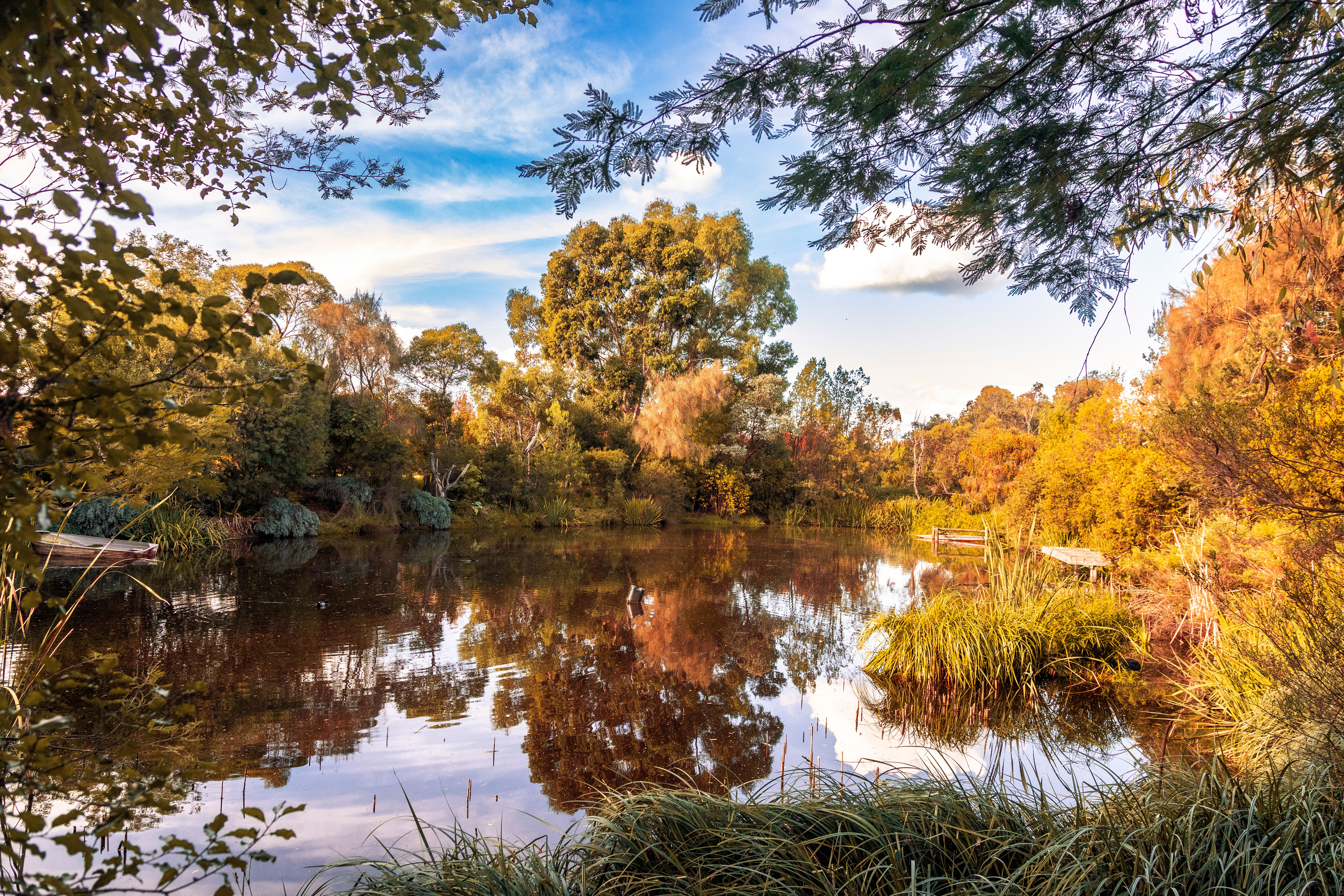 Autumnal Trees around a Pond in a Park · Free Stock Photo