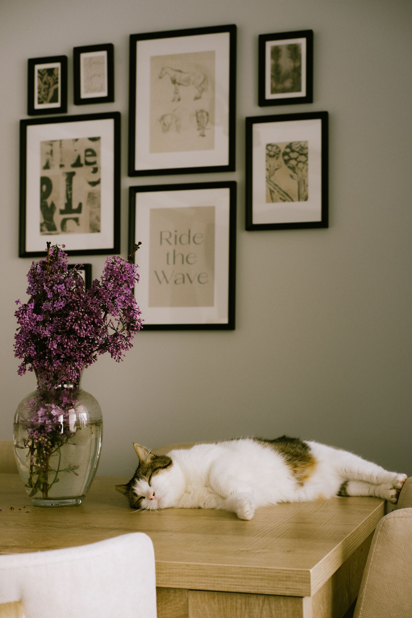 Sleep Images Photos, Download The BEST Free Sleep Images Stock Photos ...