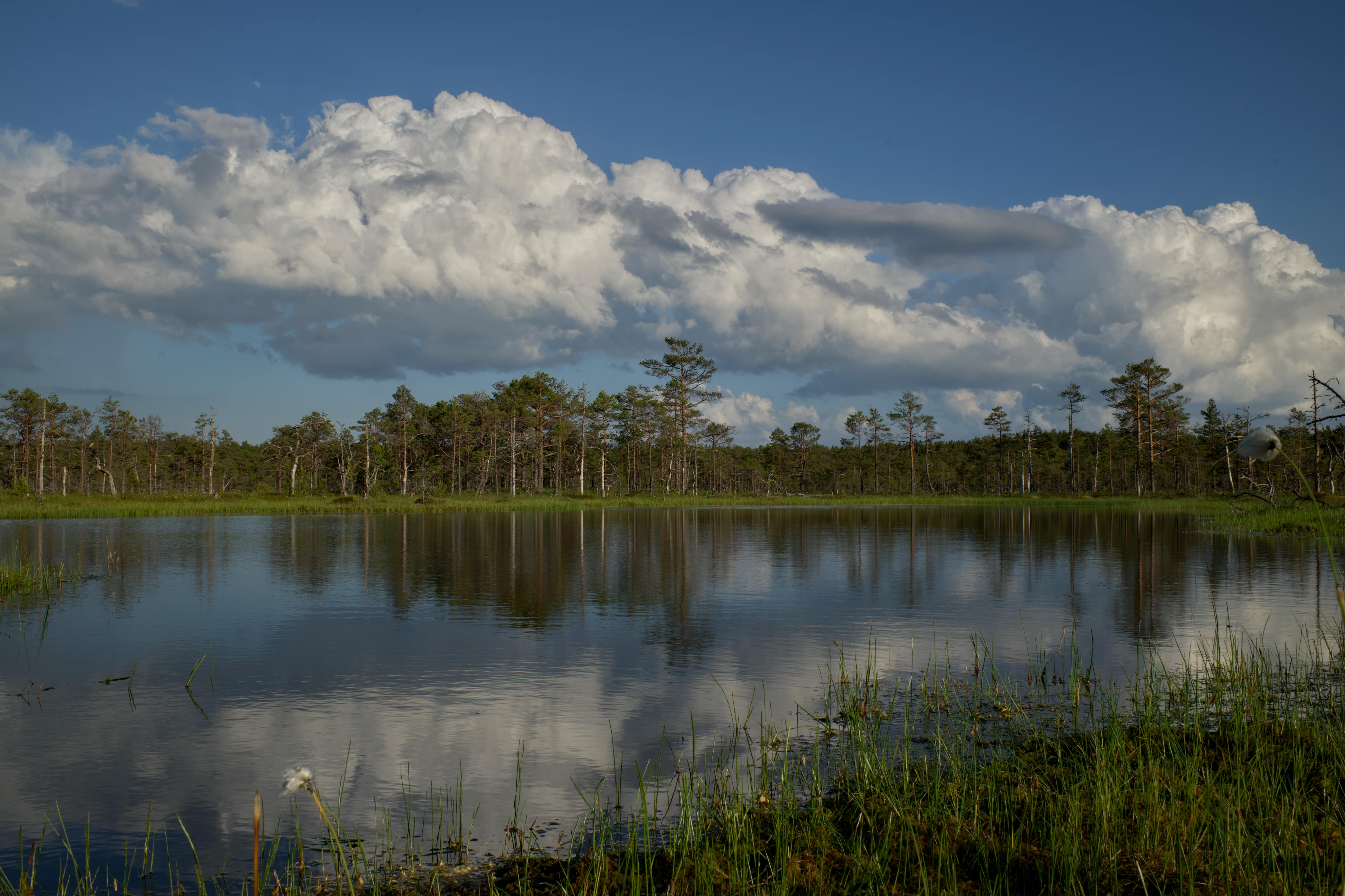 ,Calm Photos, Download The BEST Free ,Calm Stock Photos & HD Images