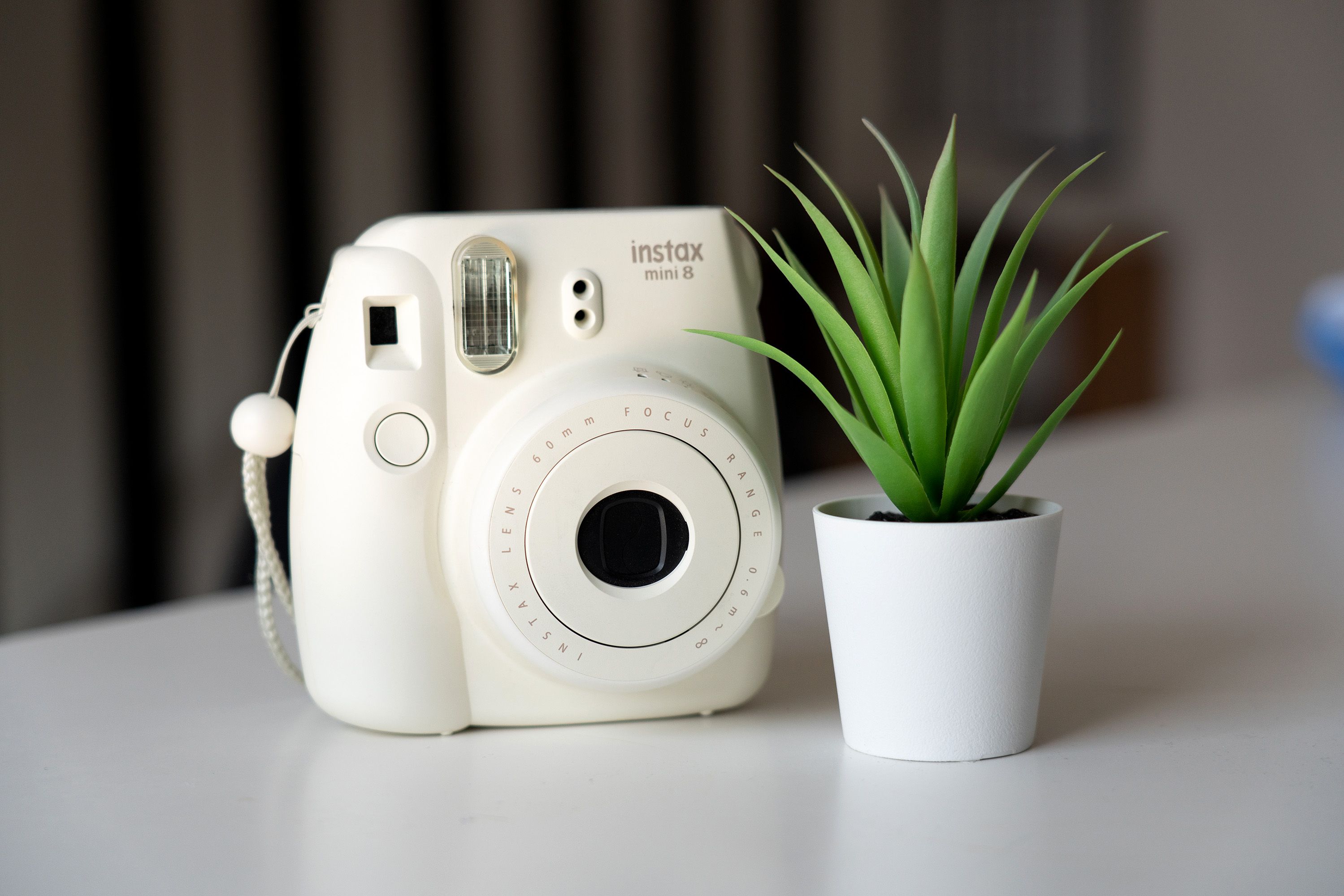 Camera and Plant on Table · Free Stock Photo