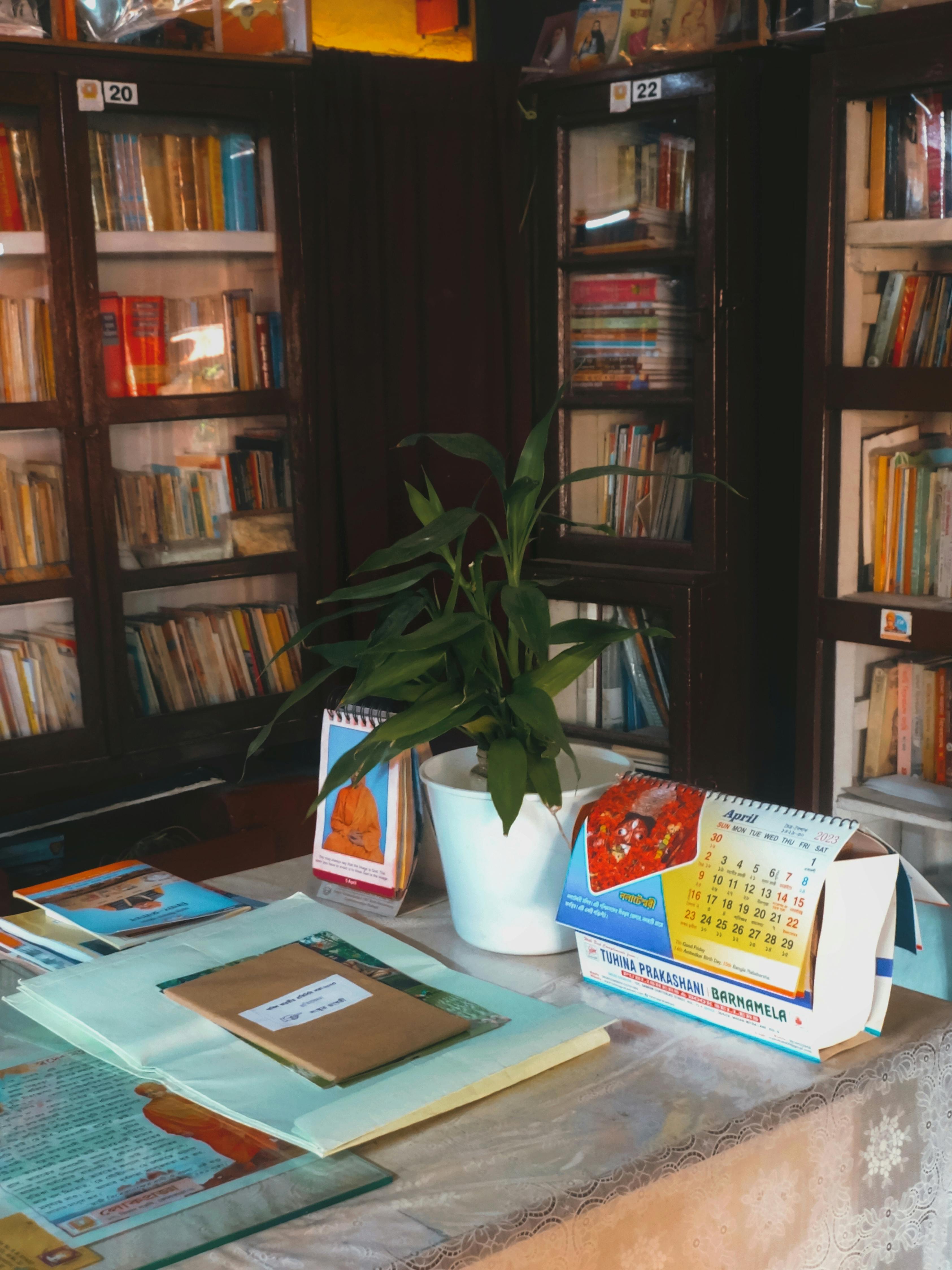 A Counter in an Antique Bookstore · Free Stock Photo