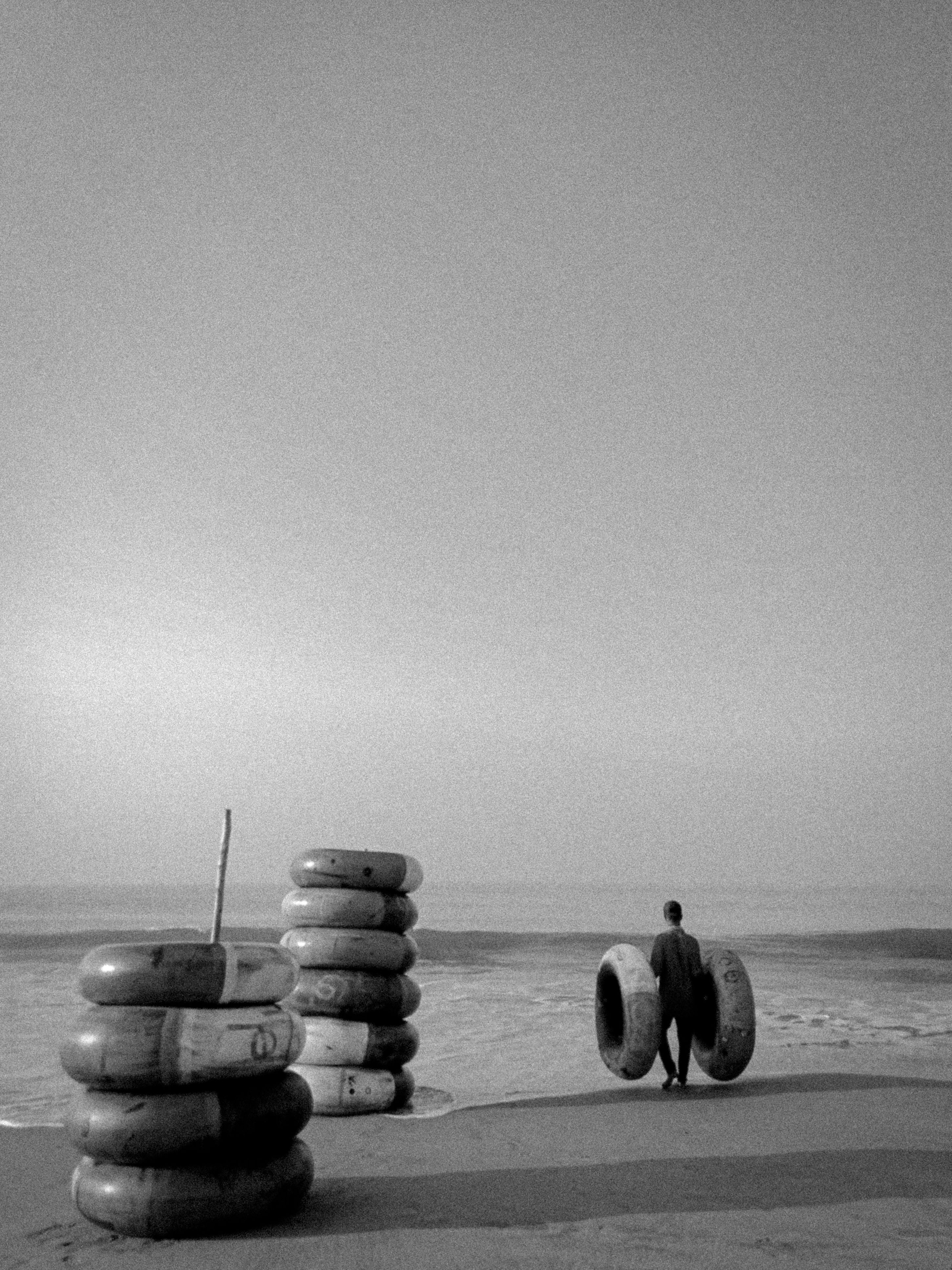 Dengue Carrying Photos, Download The BEST Free Dengue Carrying Stock ...