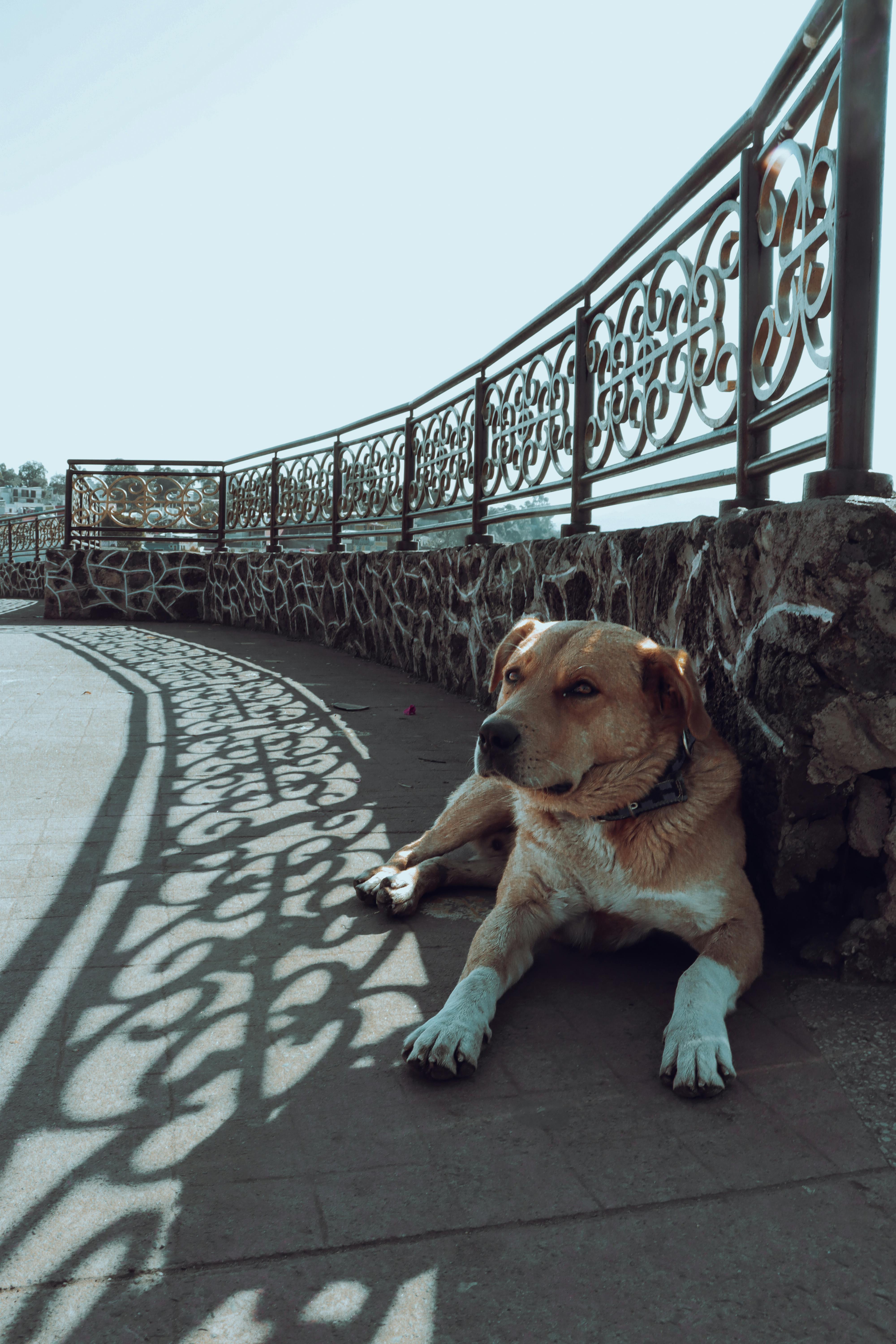 Wall Animation Photos, Download The BEST Free Wall Animation Stock ...