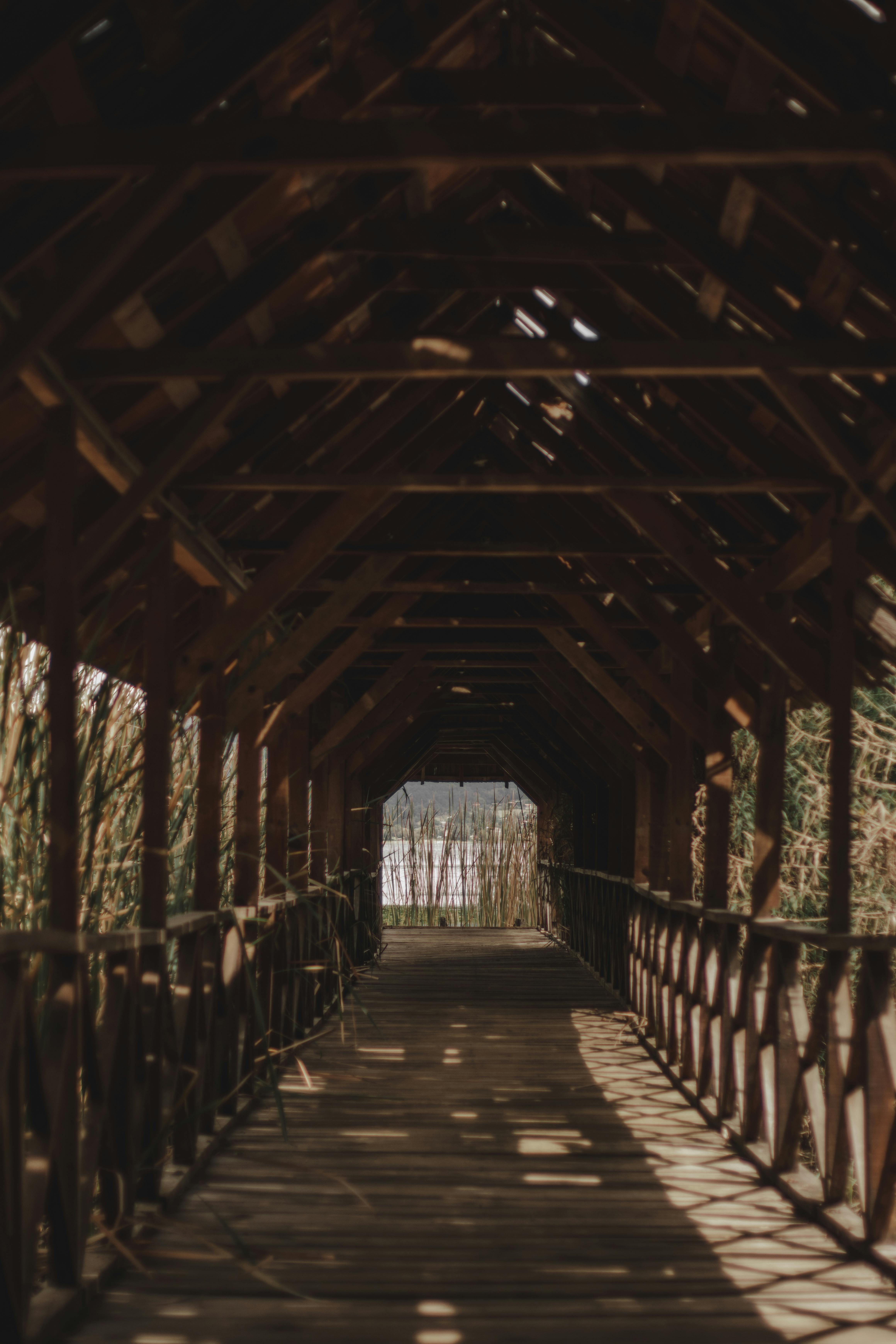 Wooden Bridge Walkway · Free Stock Photo