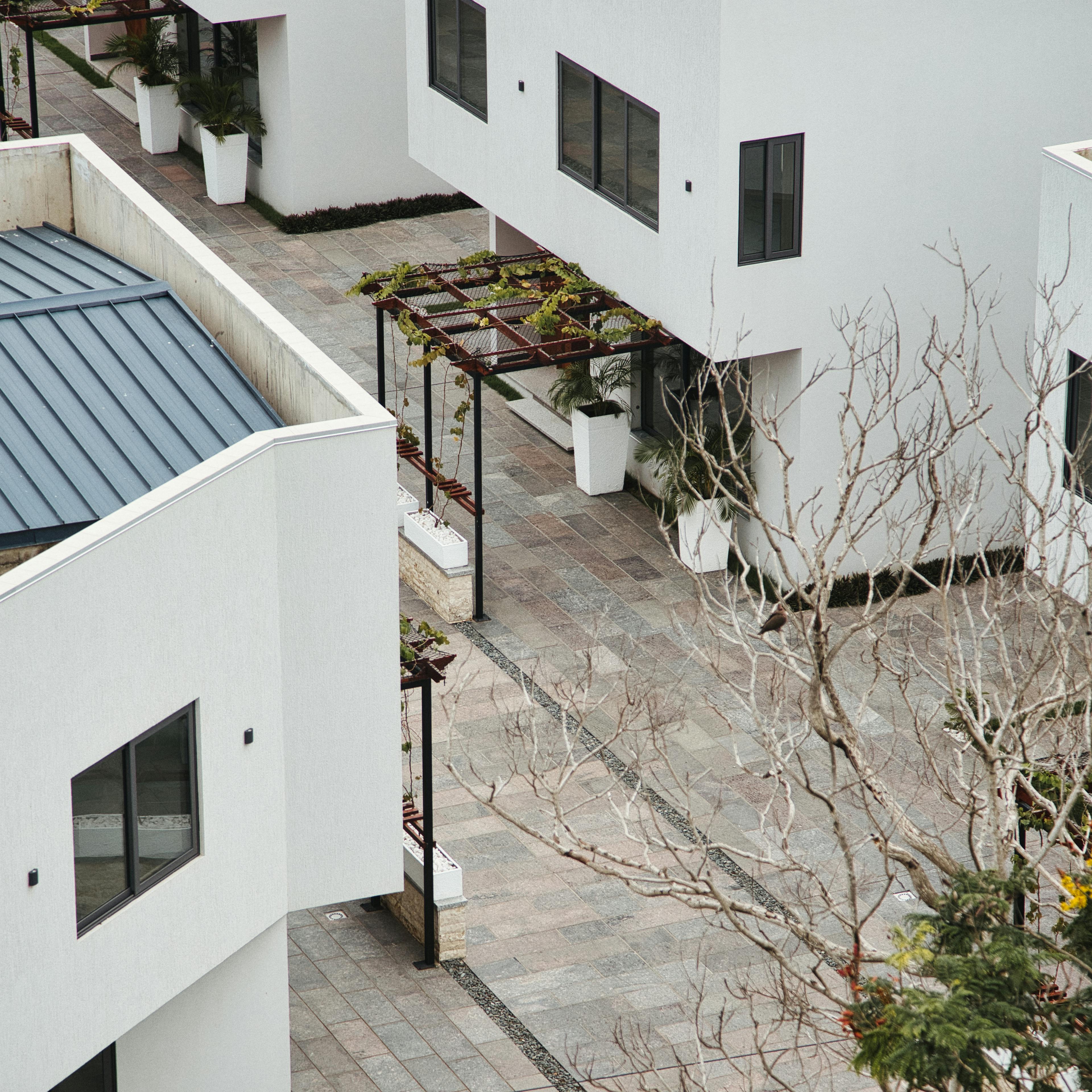 Noise Texture Photos, Download The BEST Free Noise Texture Stock Photos ...