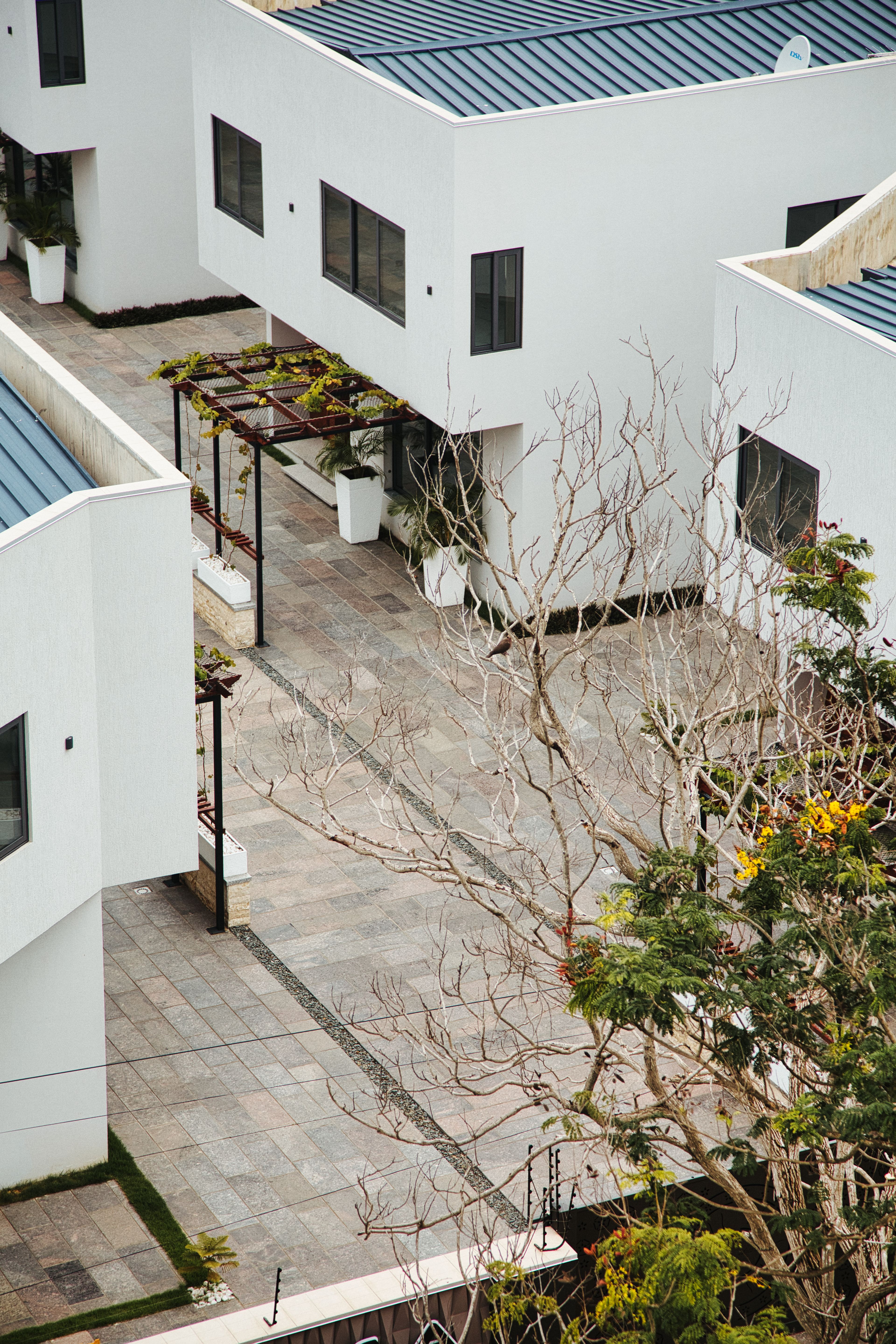 Landscaped Walkways Photos, Download The BEST Free Landscaped Walkways ...