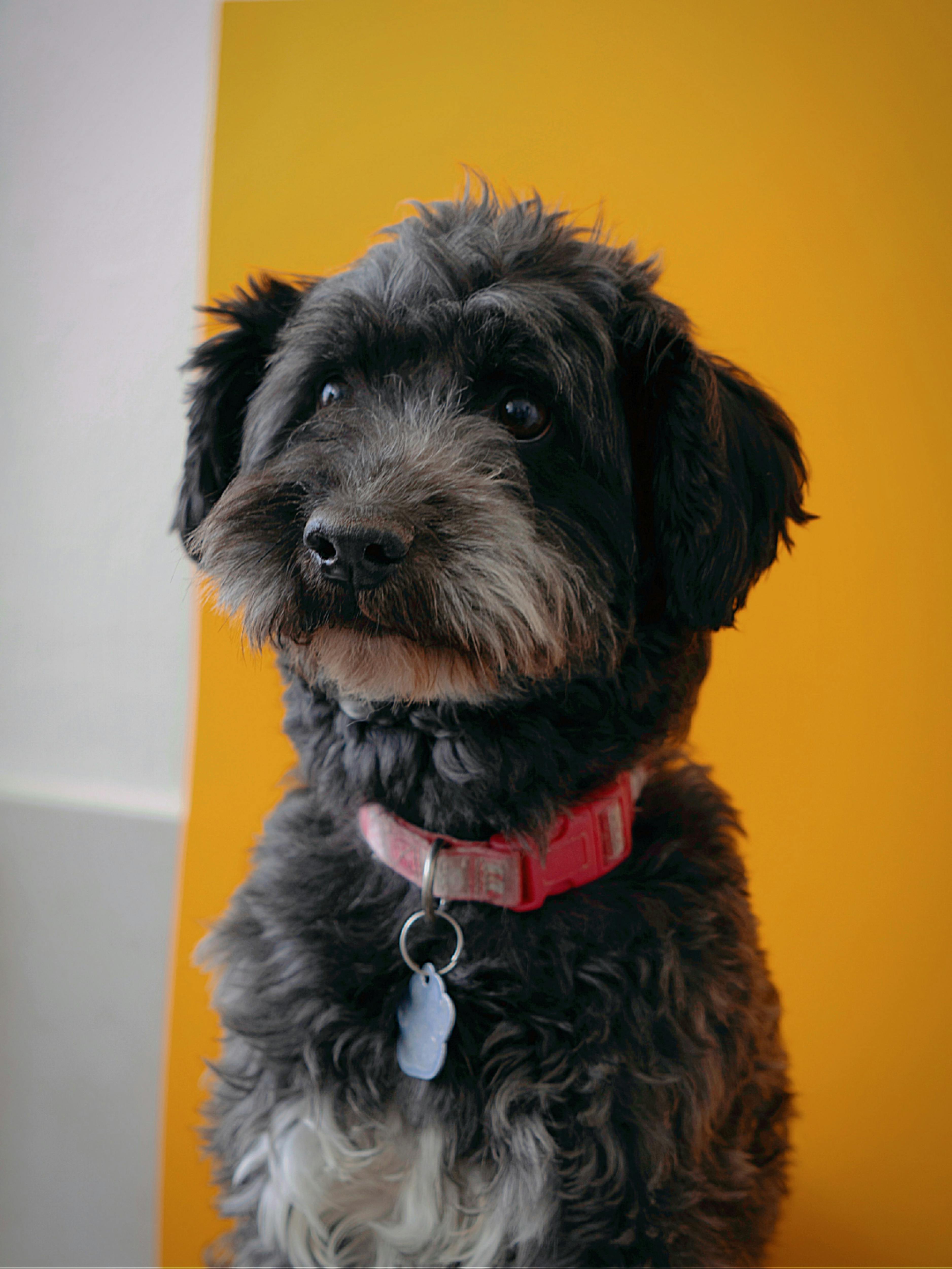 Viridiana O Rivera - 사진