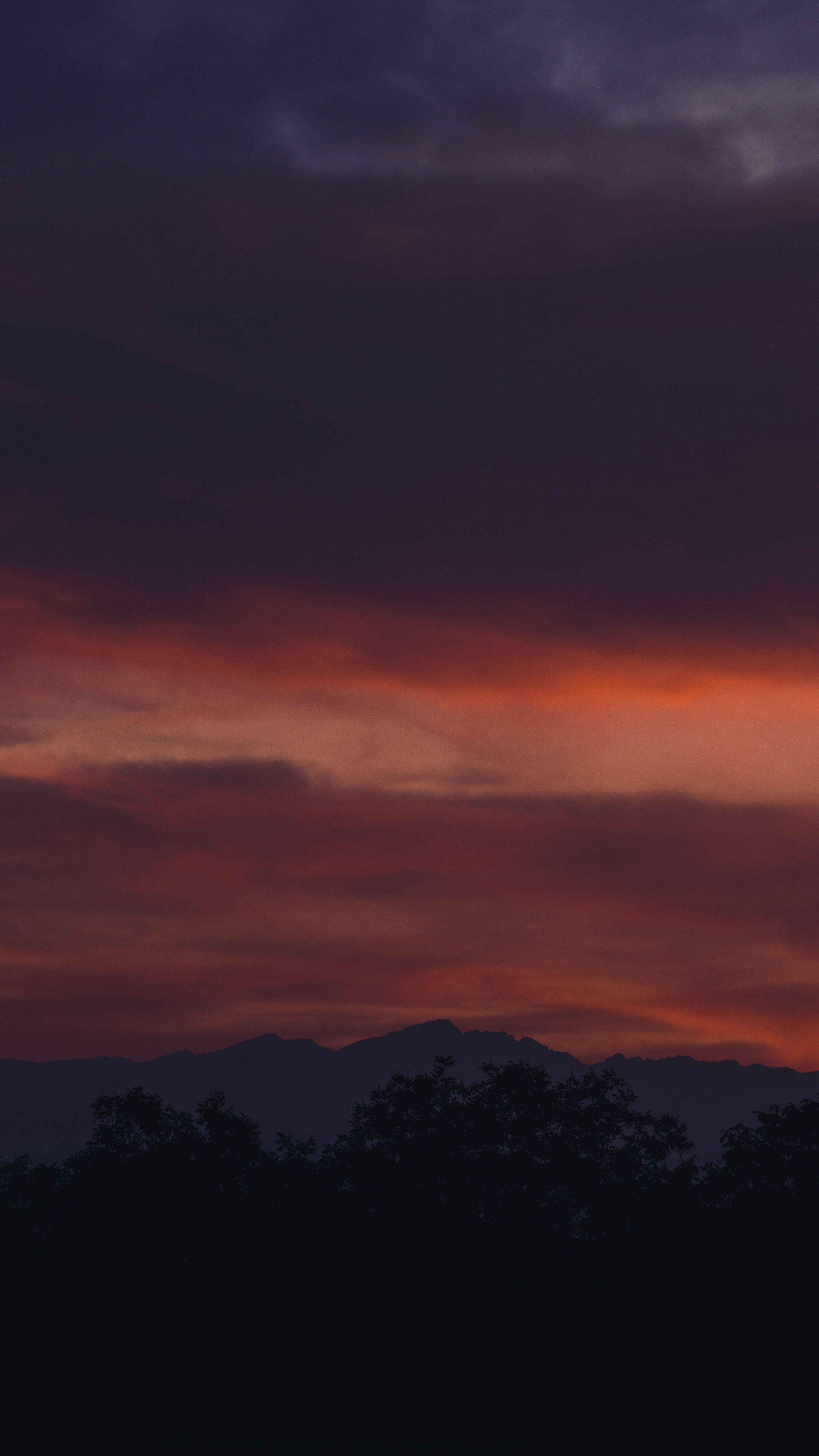 Rain Clouds over Trees at Sunset · Free Stock Photo