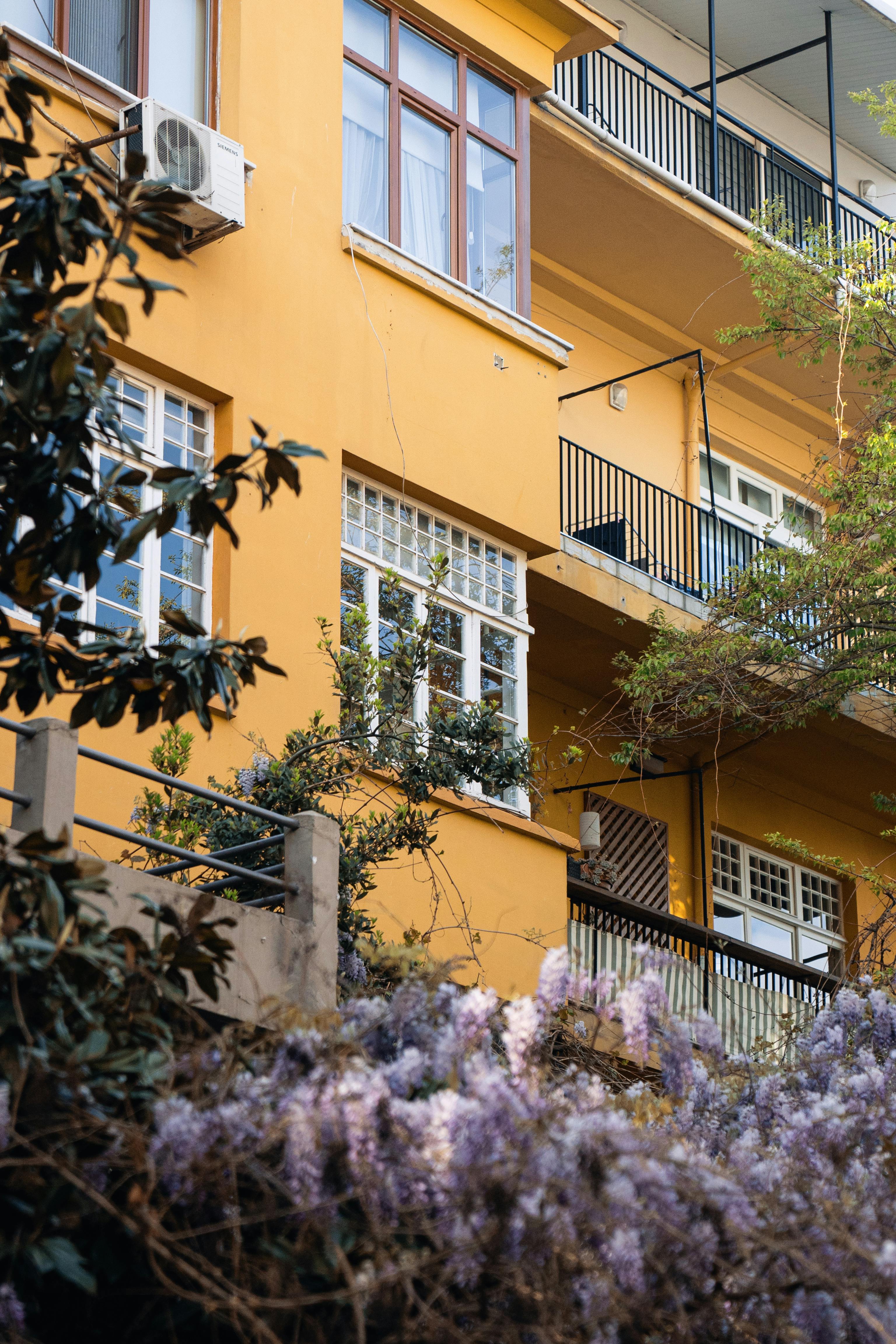 Yellow Building Facade and a Bush with Lilac Flowers · Free Stock Photo