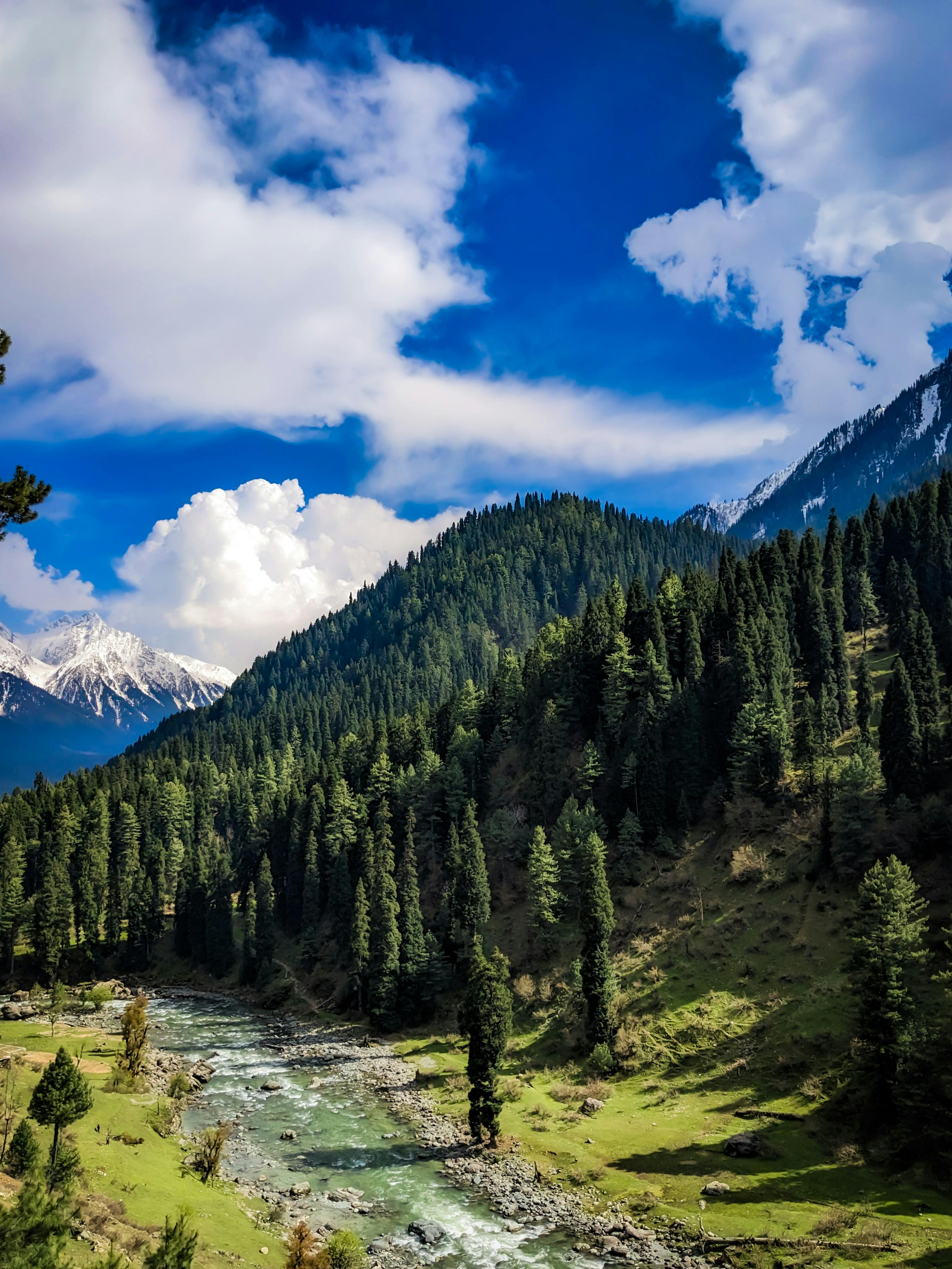 Downhill Stream Photos, Download The BEST Free Downhill Stream Stock ...