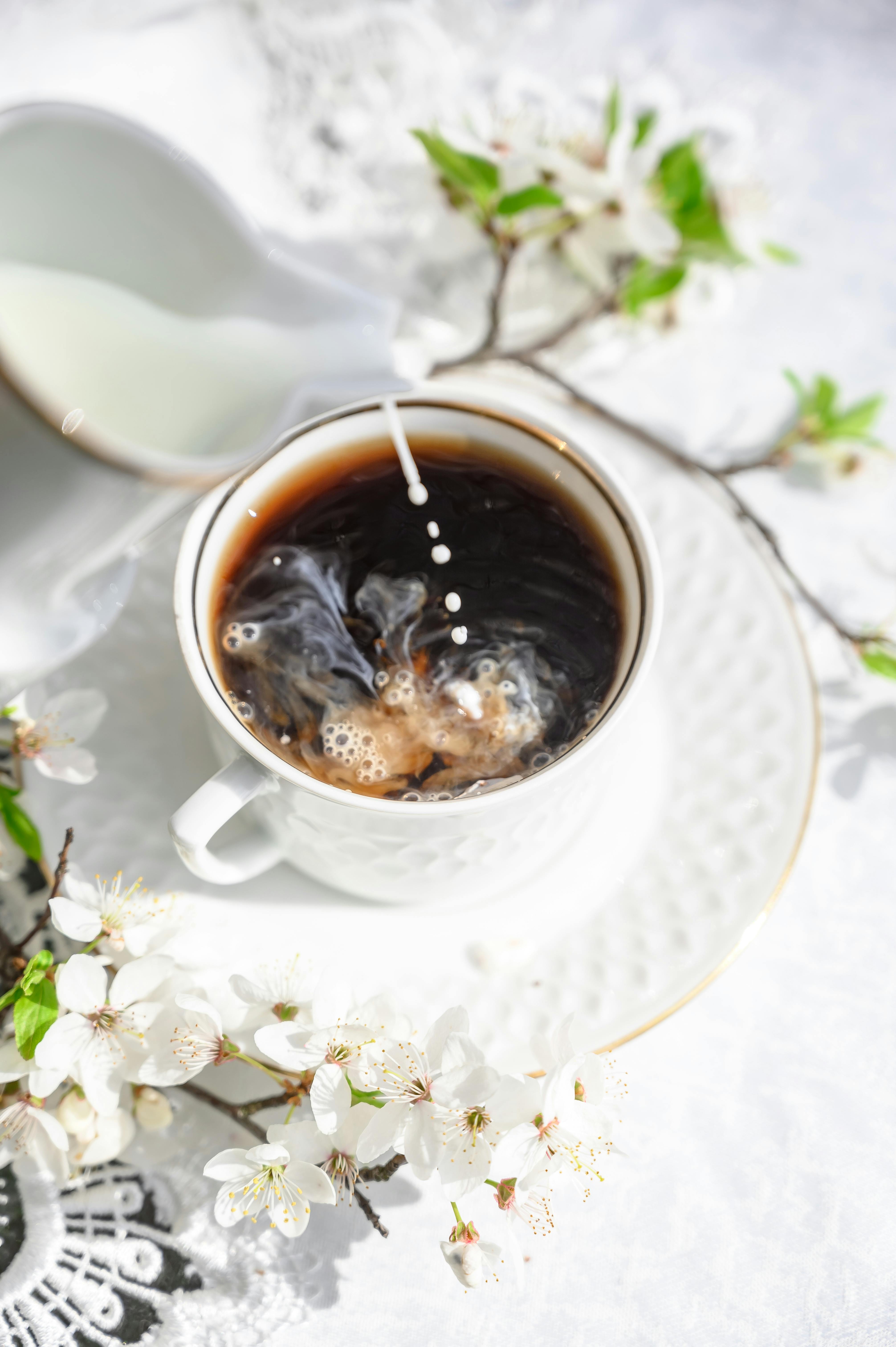a cup of coffee on a table in a spring garden. Coffee with a milk jug ...