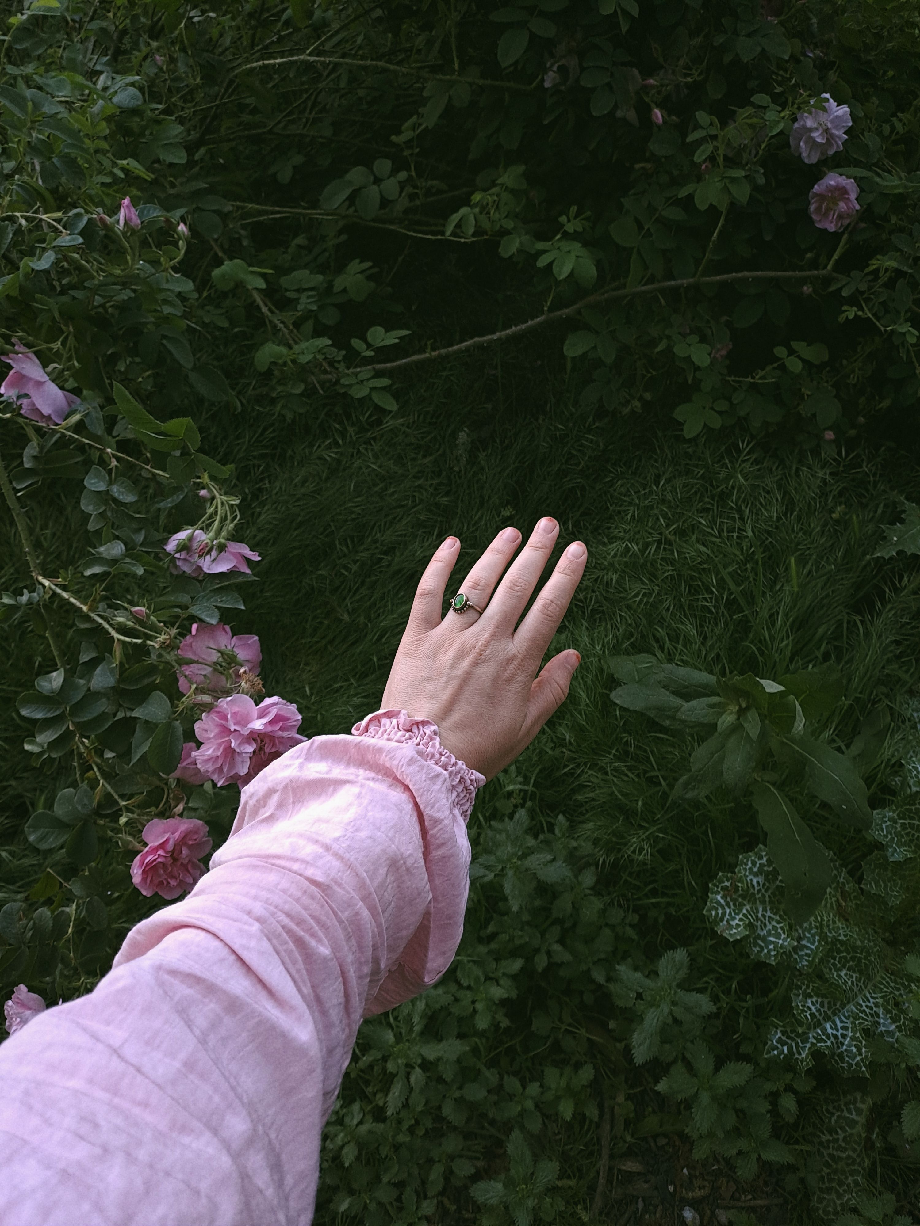 Woman Holding Hand over Bush with Flowers · Free Stock Photo