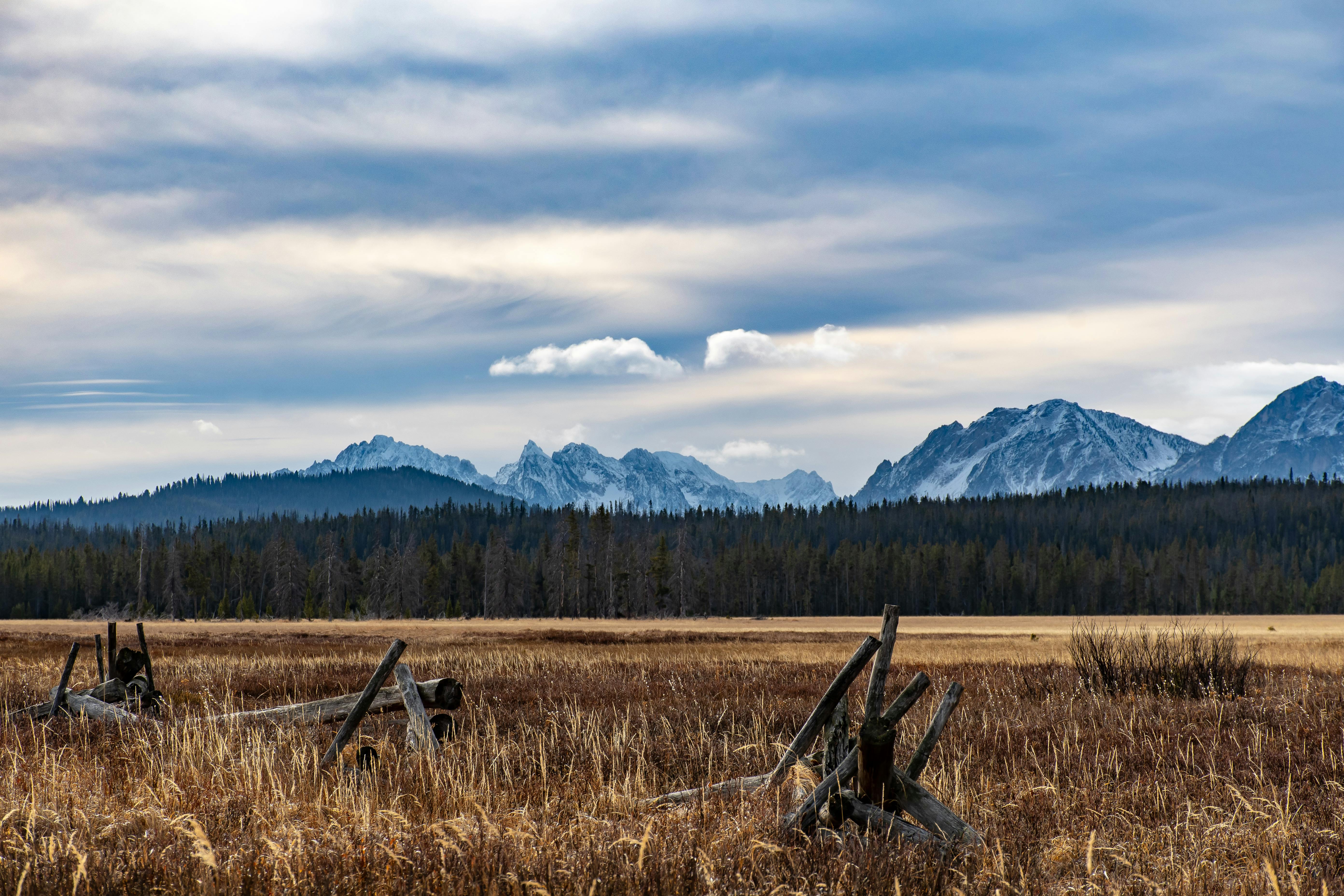 Campos Secos · Fotos de stock gratuitas