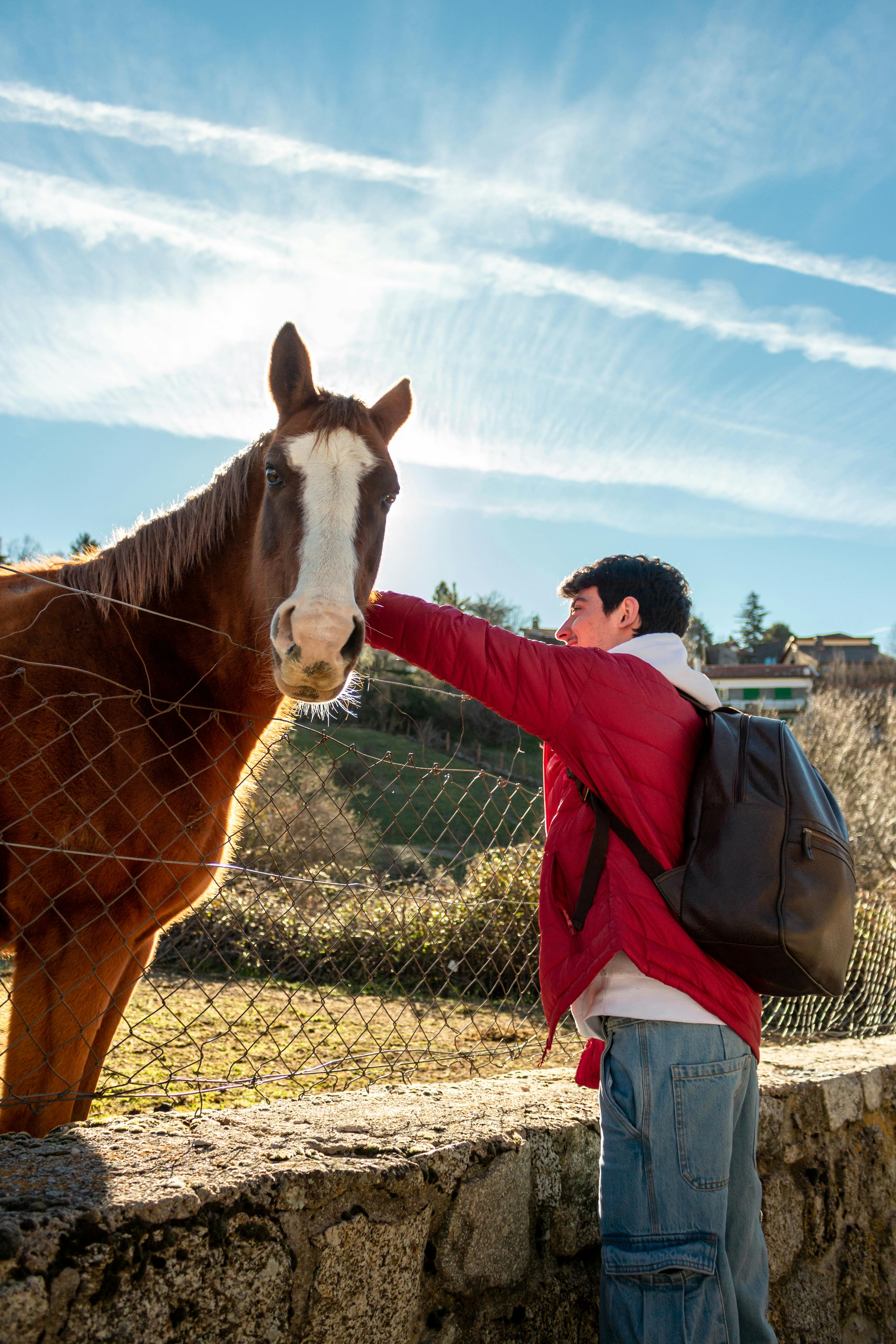 Man in Jacket Patting Horse · Free Stock Photo