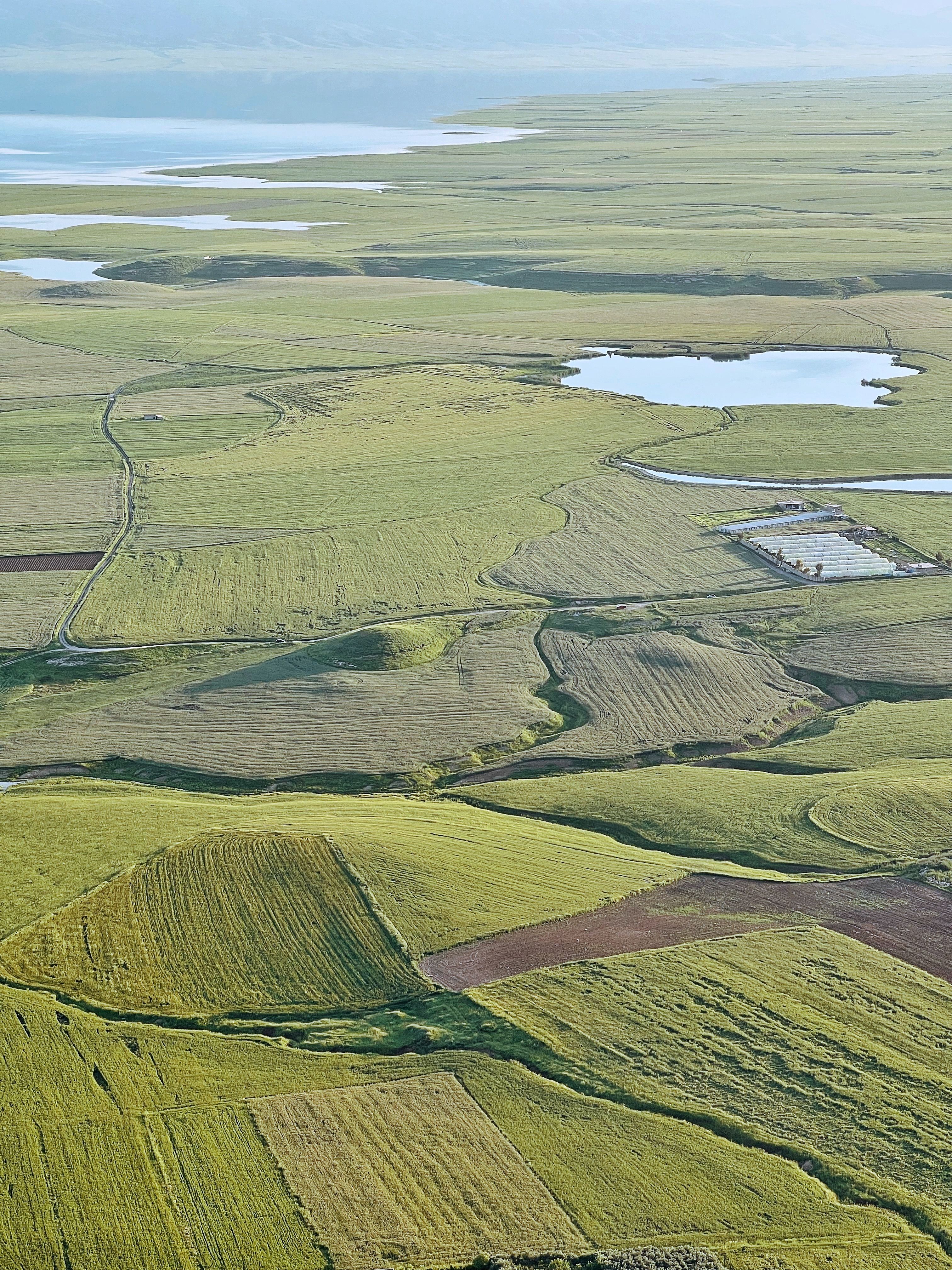 Fields and Lake · Free Stock Photo