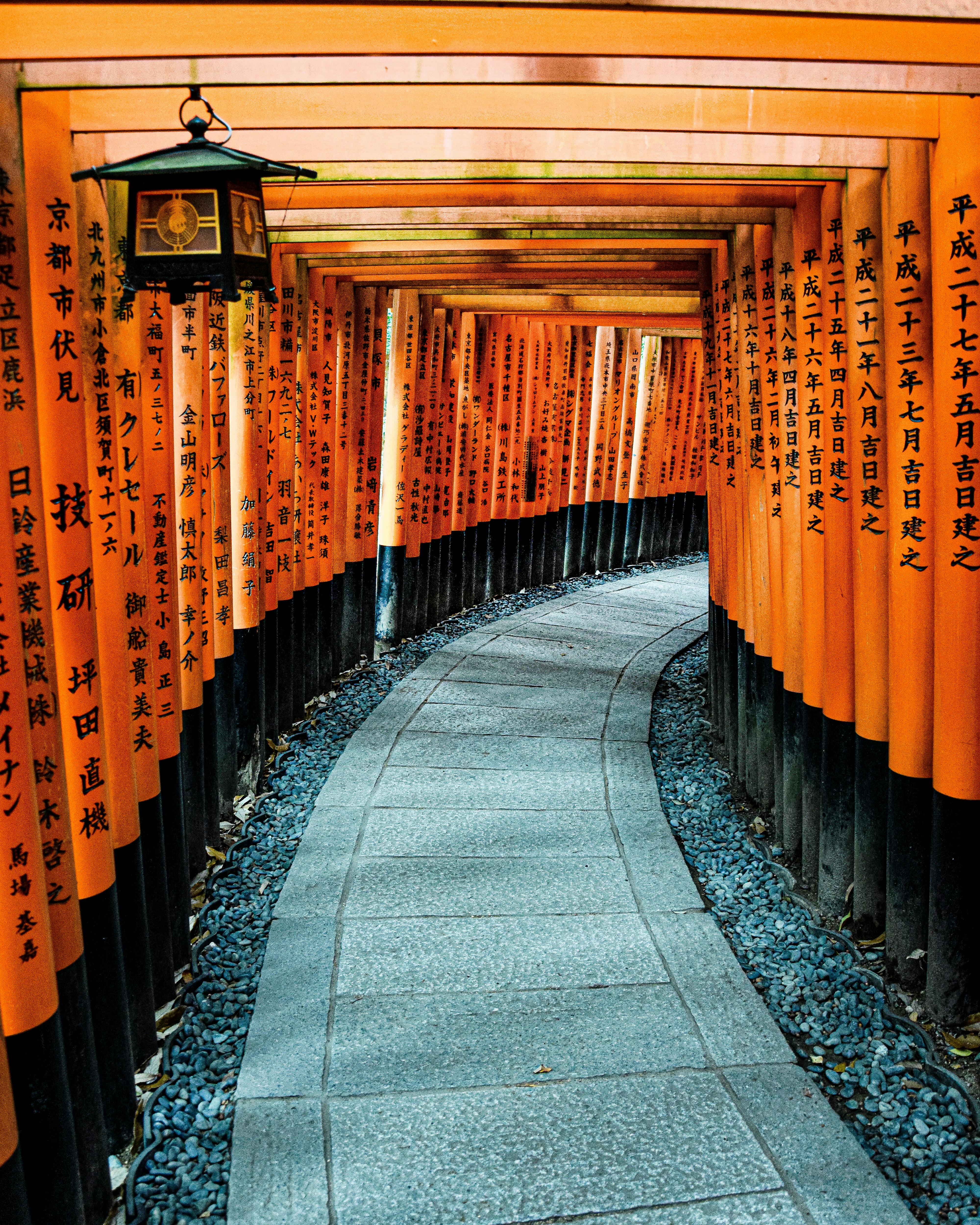 Path to Temple in Japan · Free Stock Photo