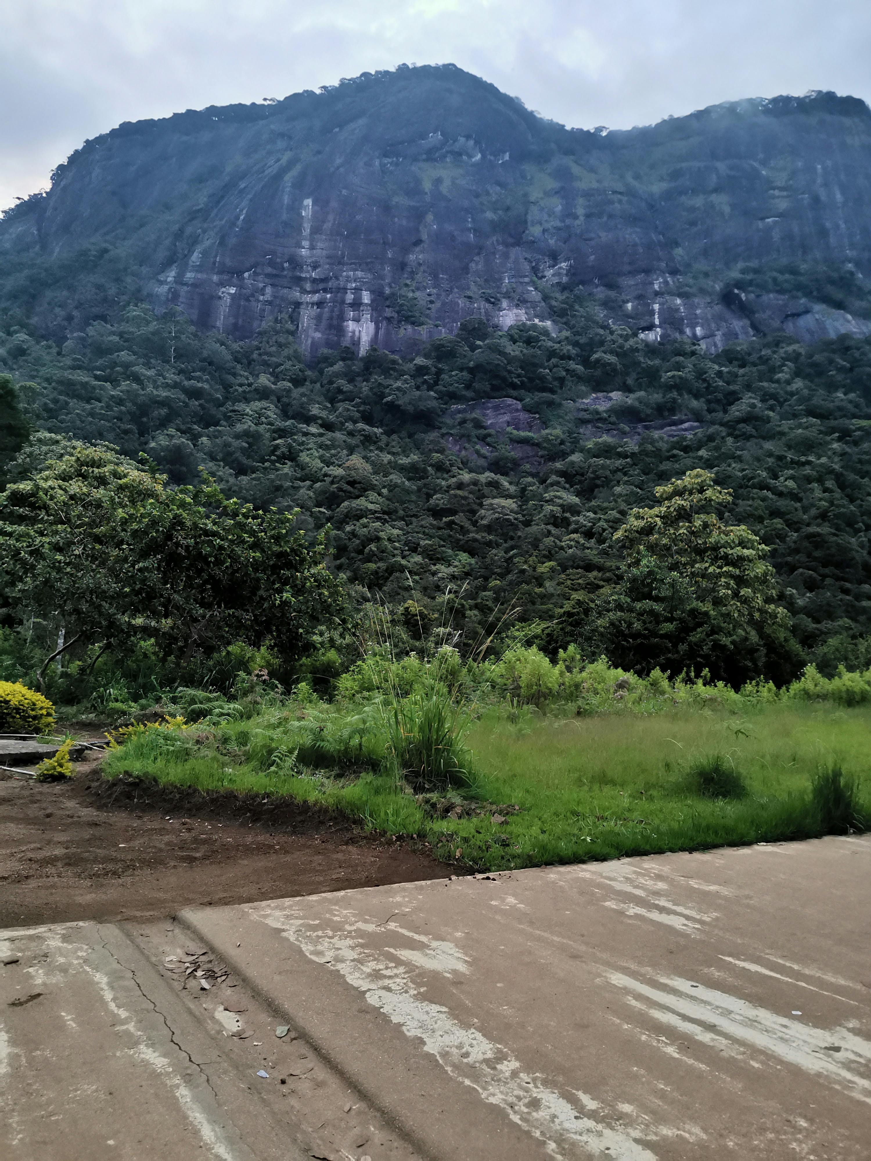 Rajitha Fernando - 摄影