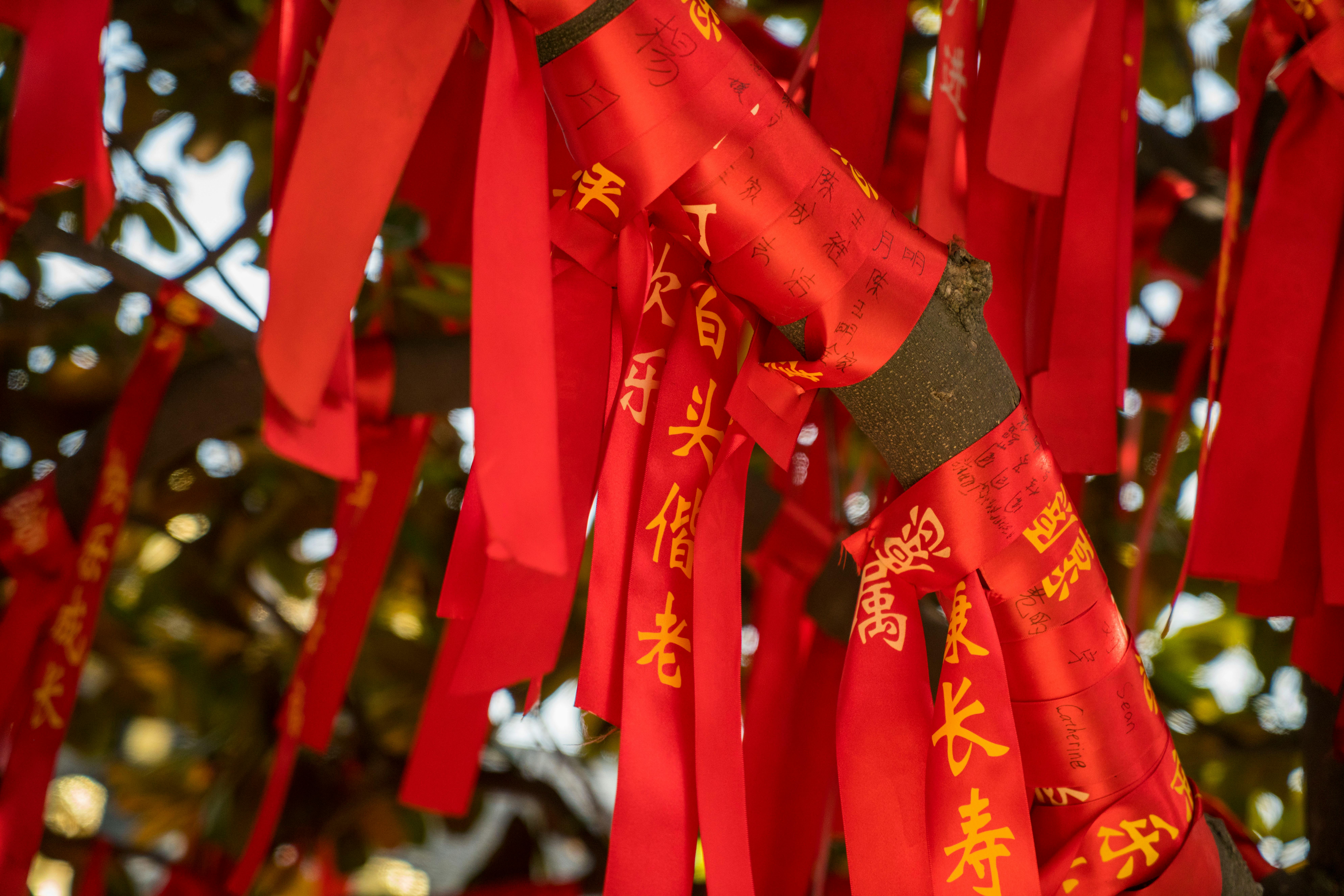 Close-up of Chinese Red Ribbons with Wishes · Free Stock Photo