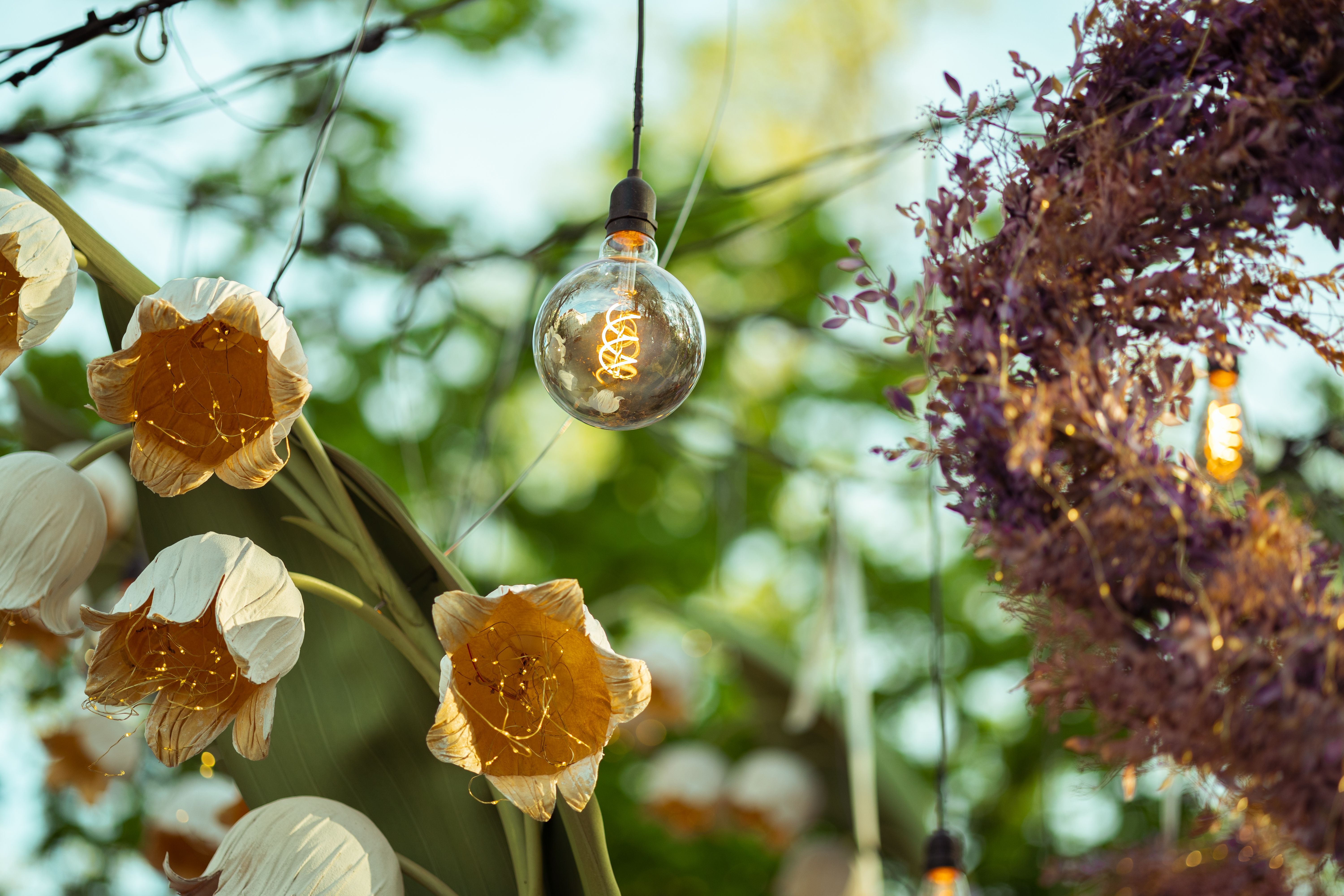 A beautiful decoration of the spring atmosphere · Free Stock Photo