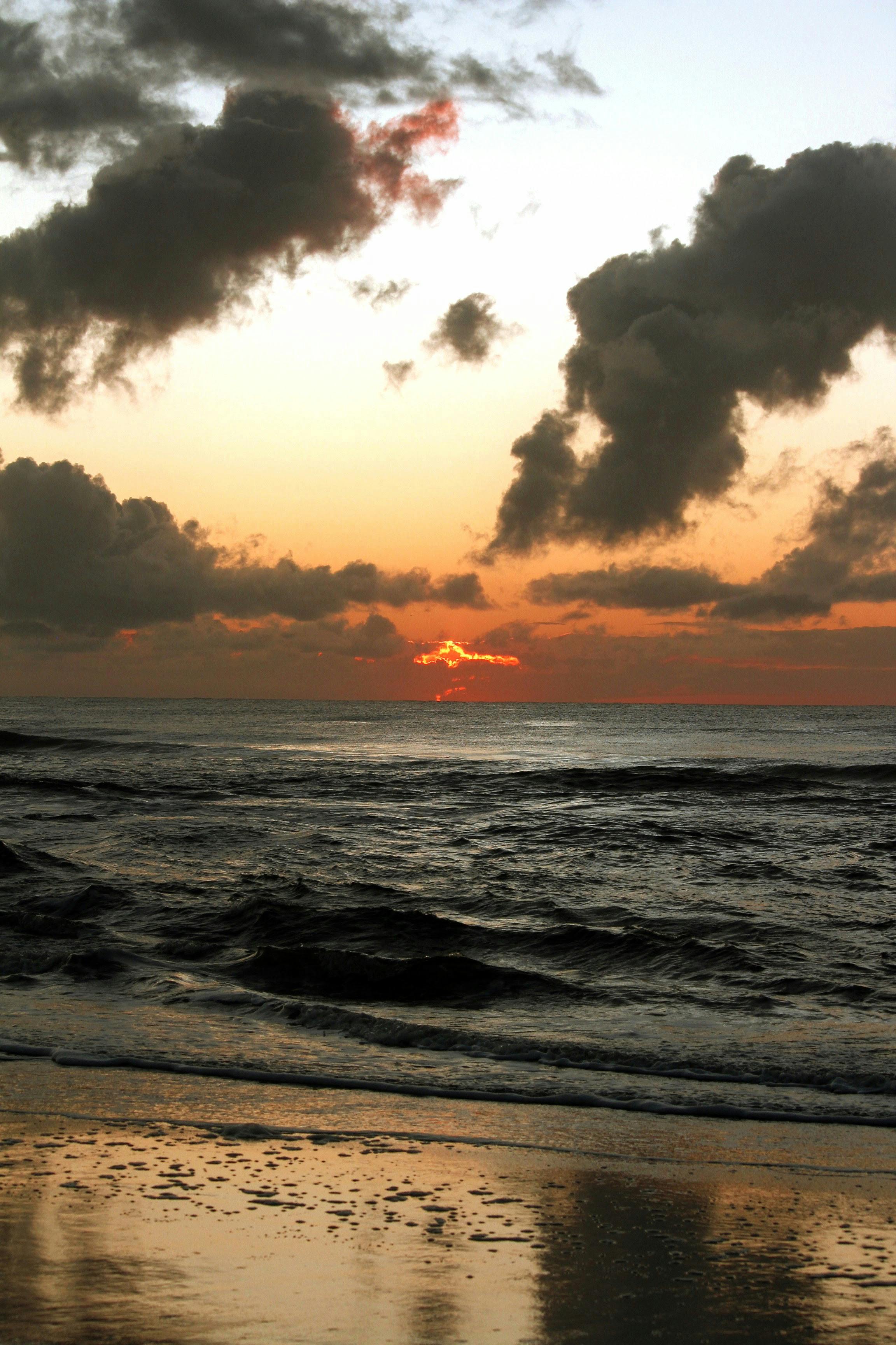 Shallow Water on Sea Shore · Free Stock Photo