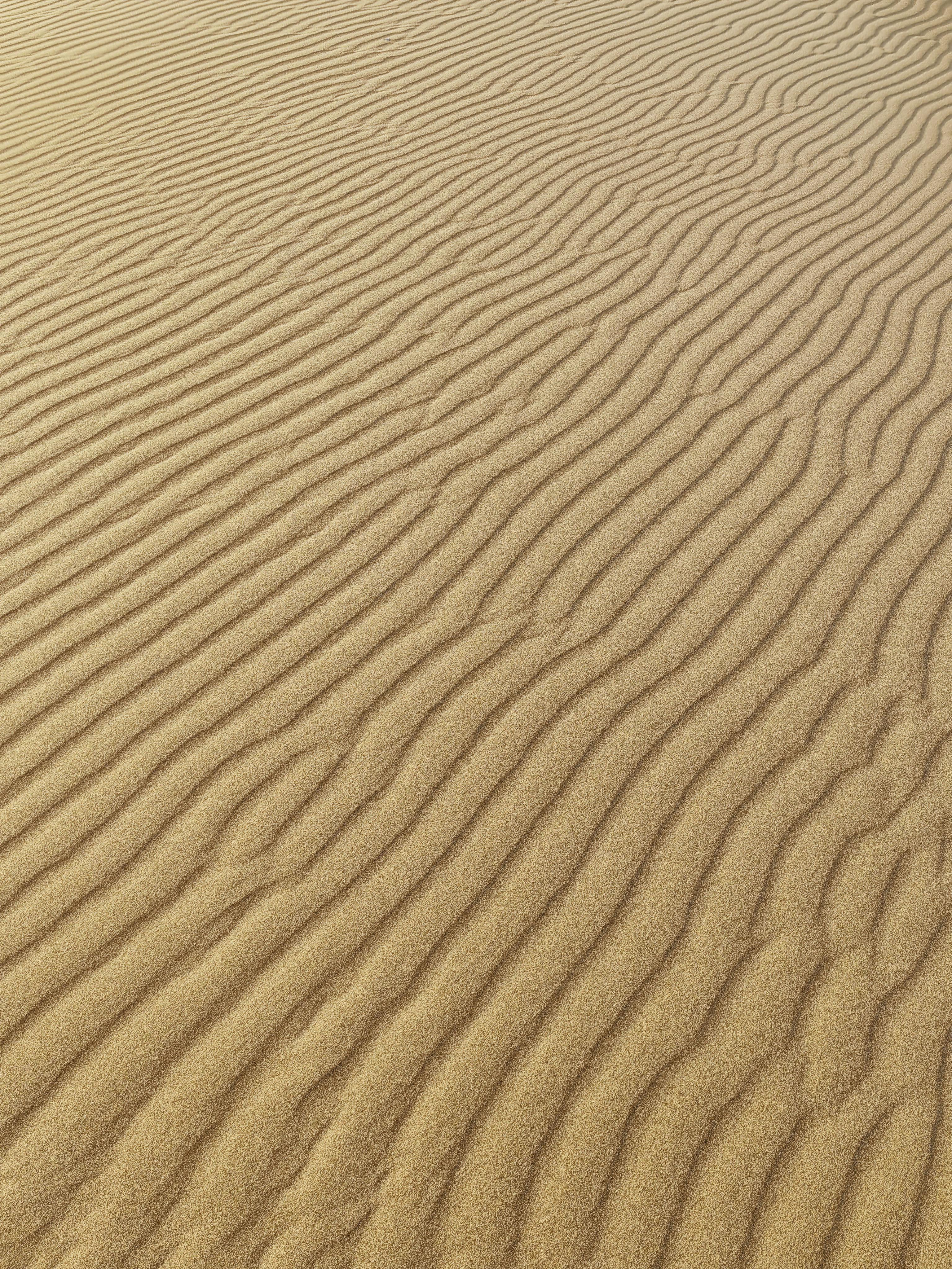 Close up of Sand Surface · Free Stock Photo