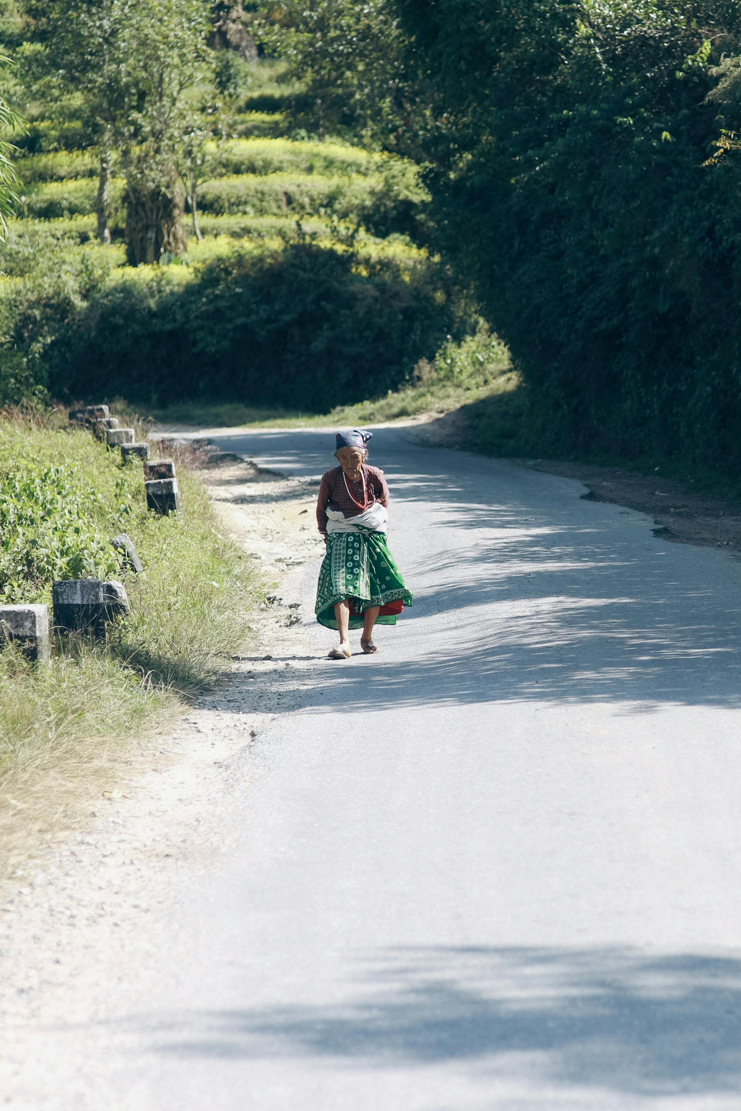Walking Road Photos, Download The BEST Free Walking Road Stock Photos ...