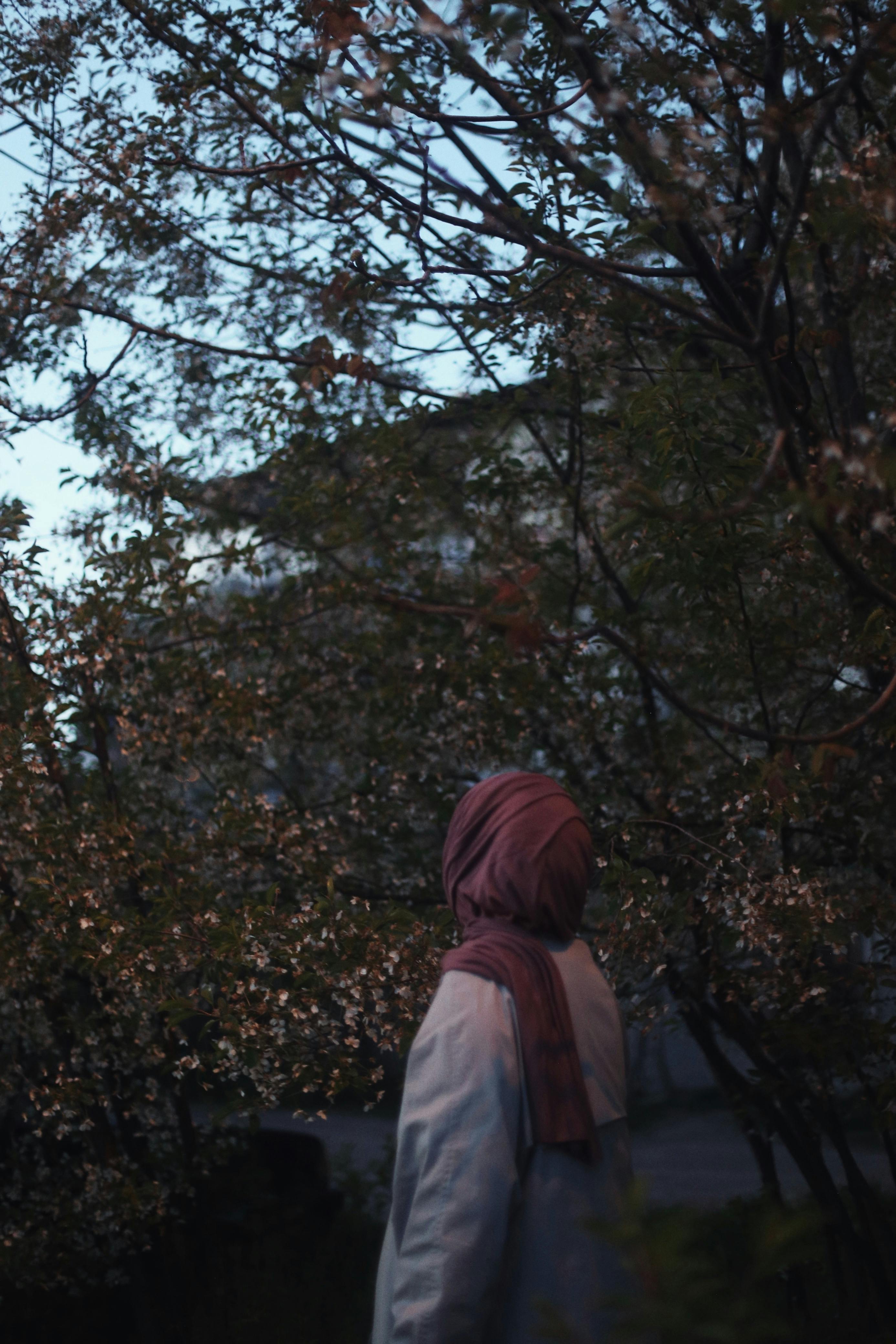 People Looking Photos, Download The BEST Free People Looking Stock ...