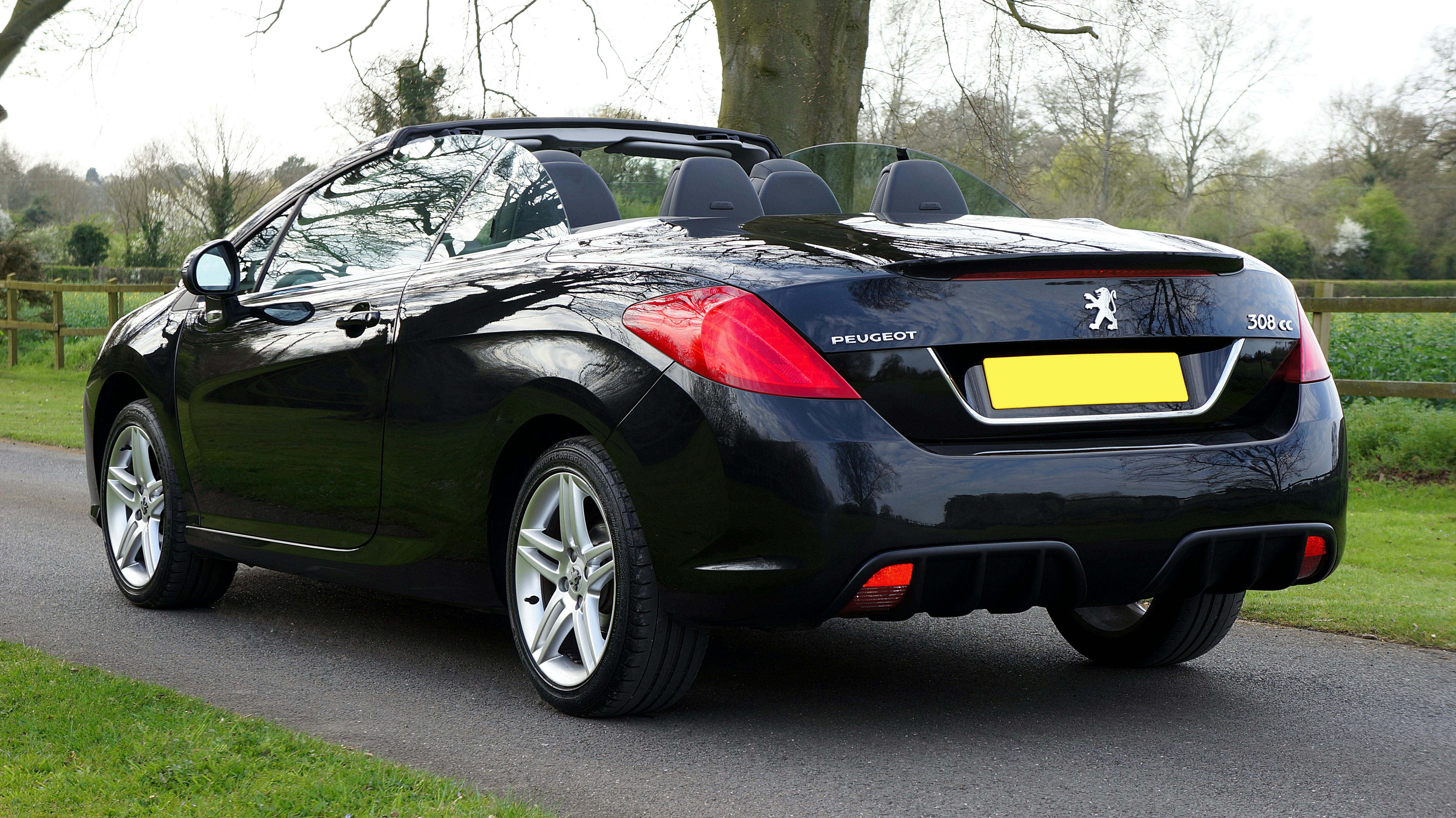 Modern Convertible Car on Road in Park · Free Stock Photo