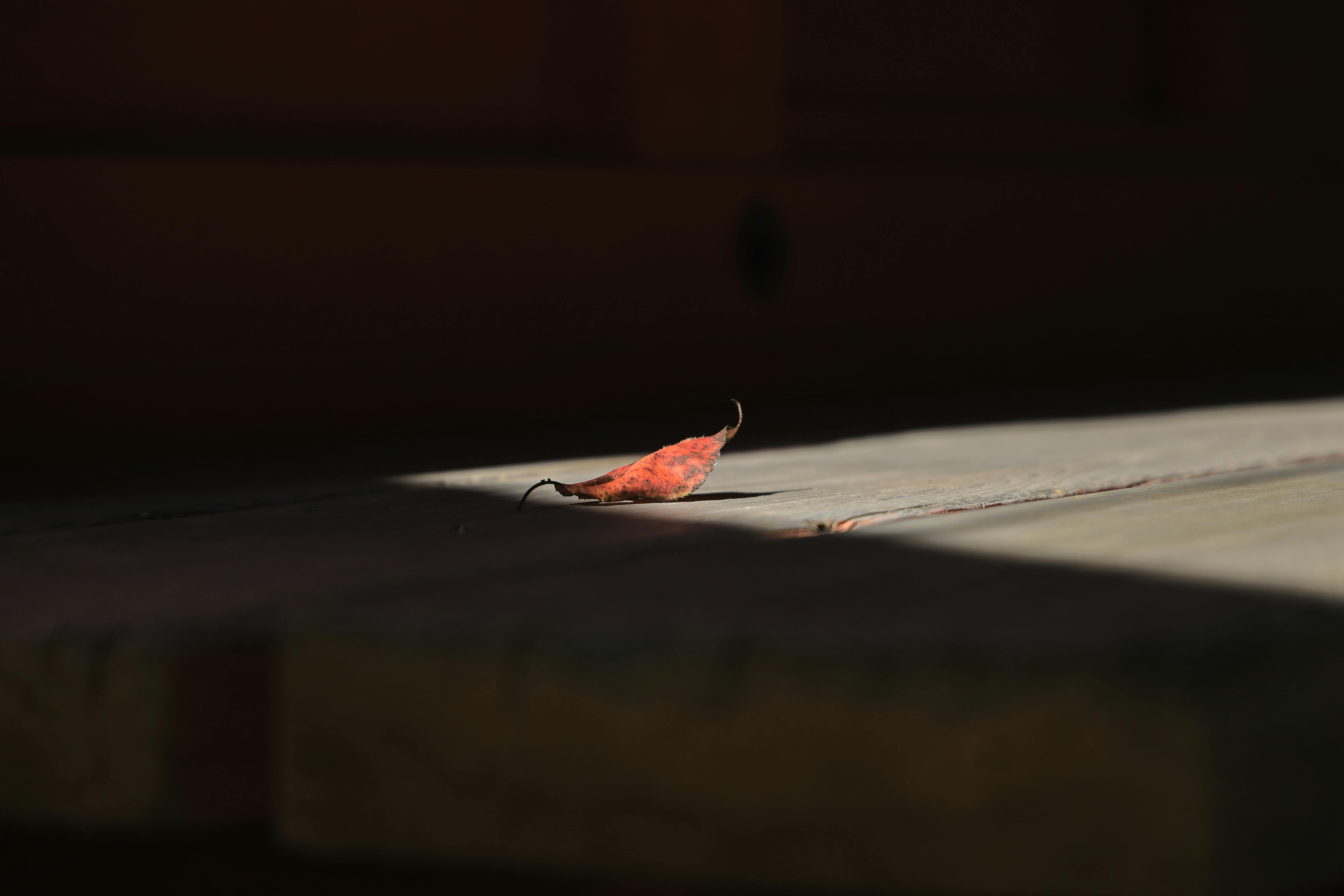 teyi 徐 - Fotografía