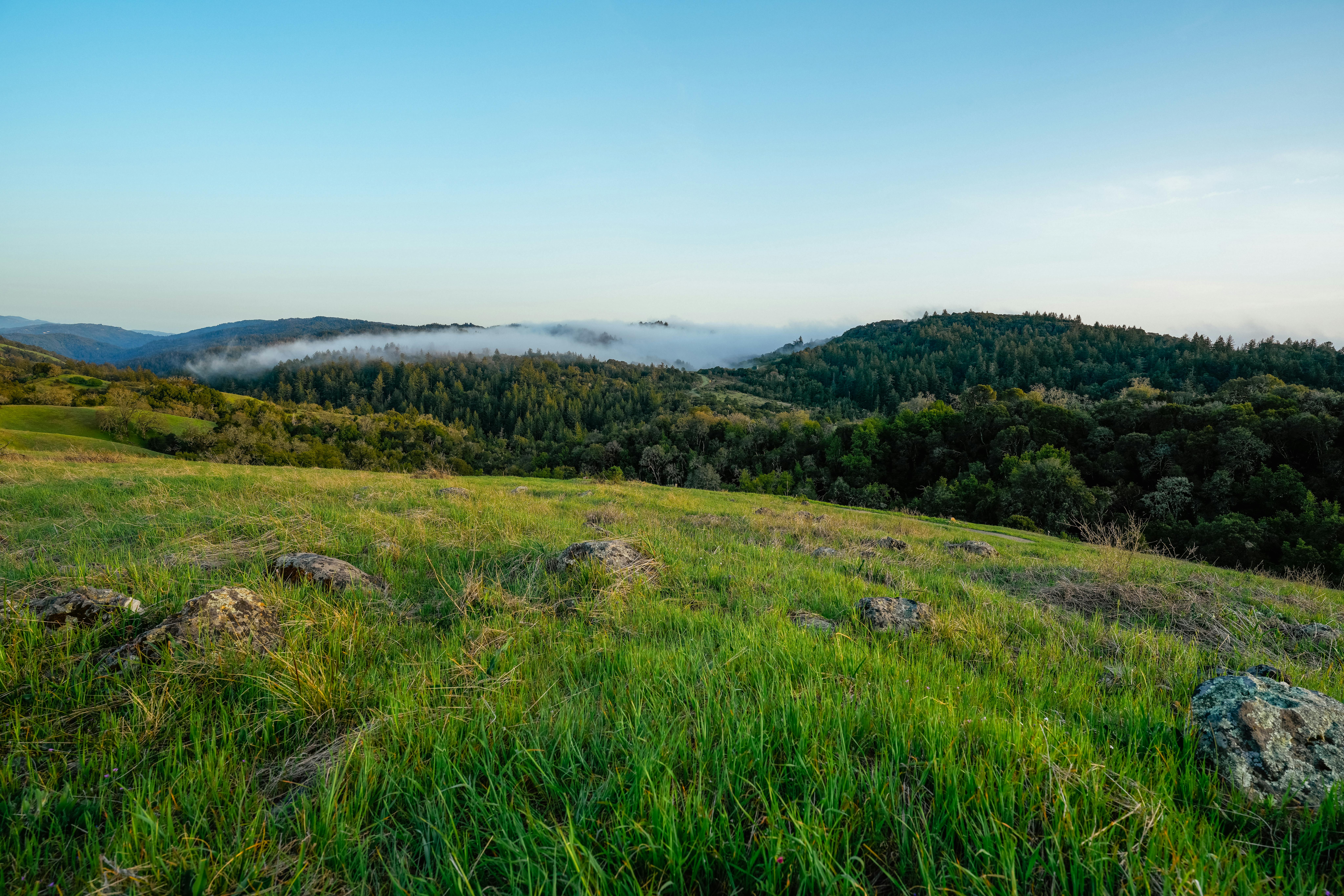 Mountains in Summer · Free Stock Photo