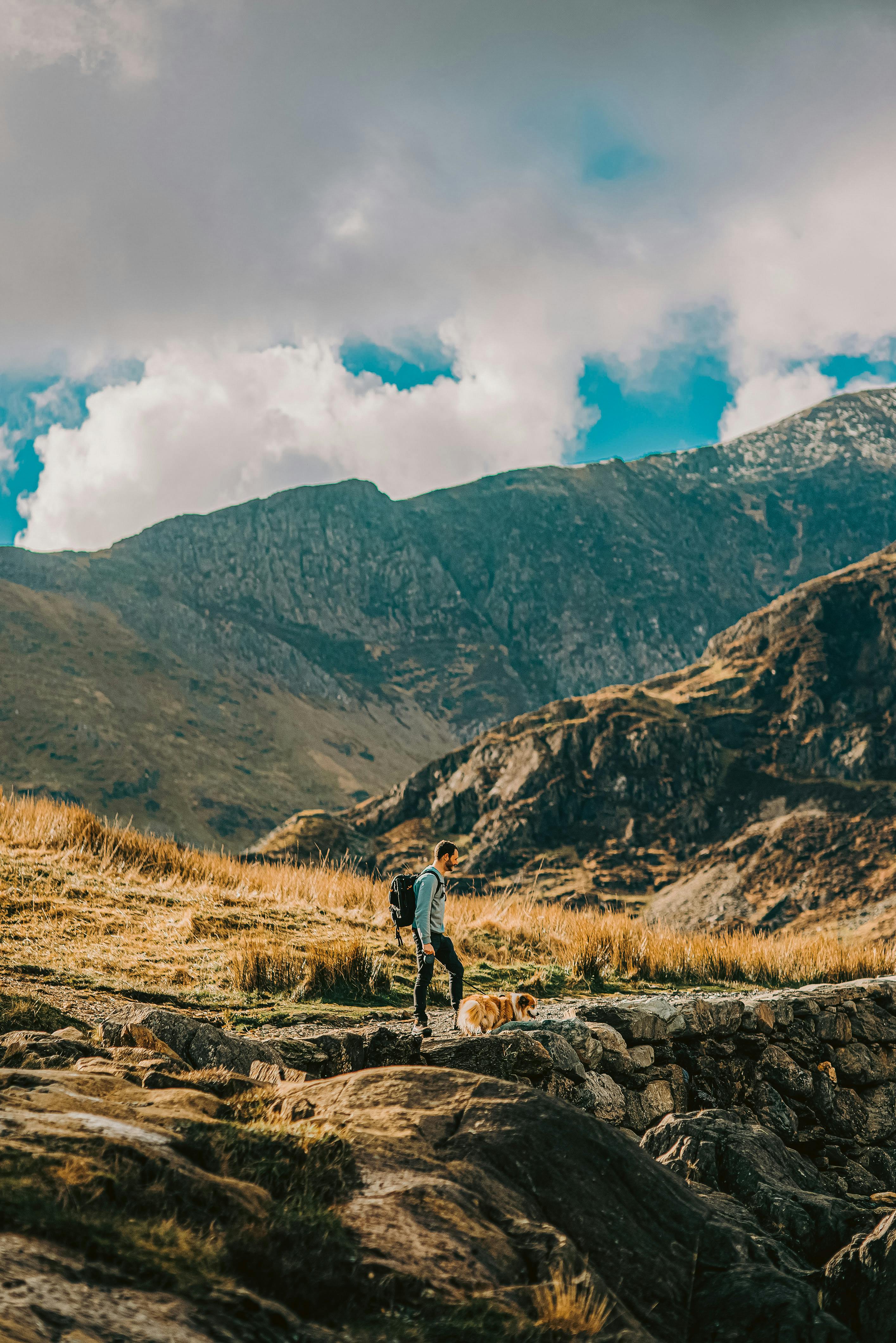 Wandering Photos, Download The BEST Free Wandering Stock Photos & HD Images