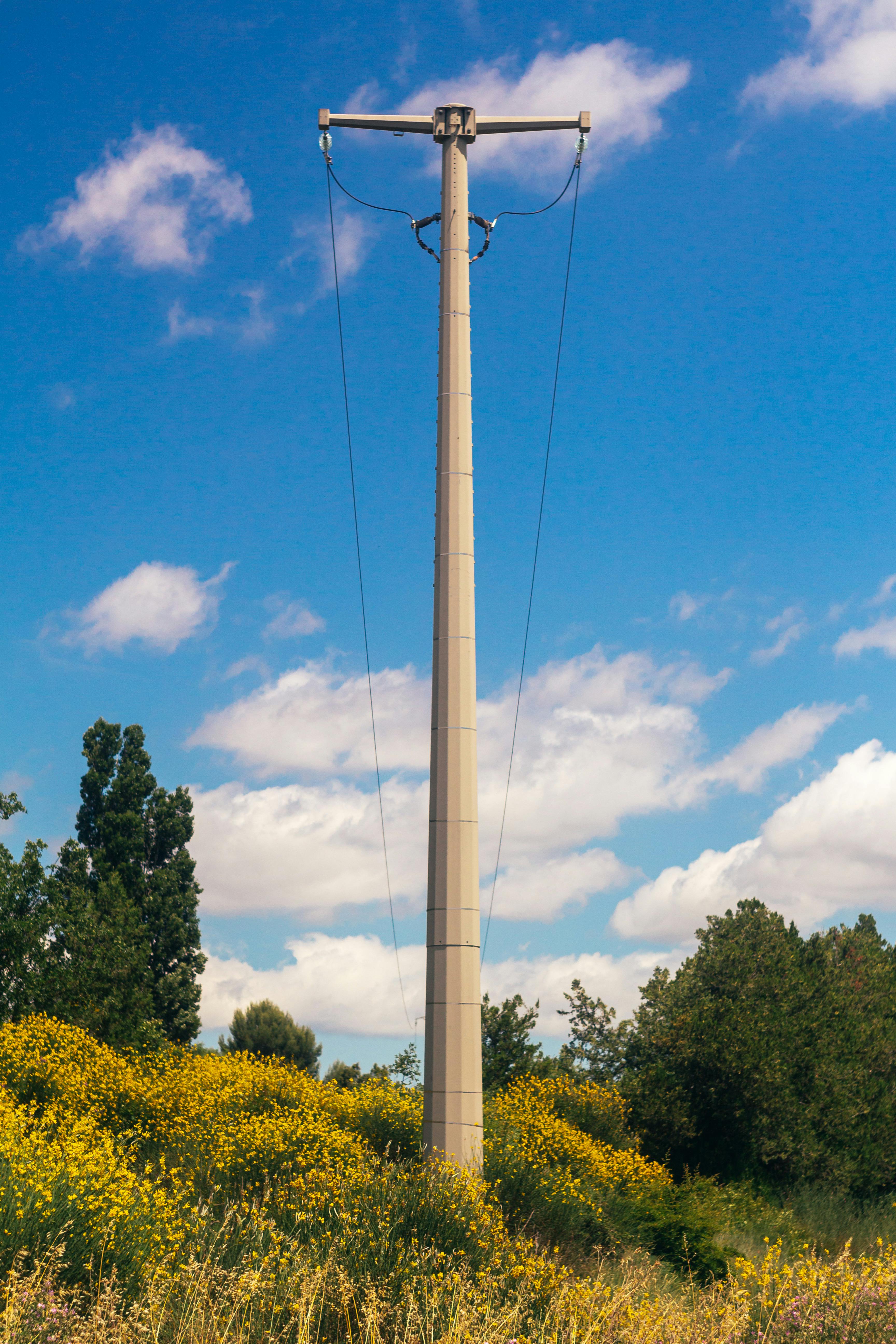 A Utility Pole on a Field in Summer · Free Stock Photo