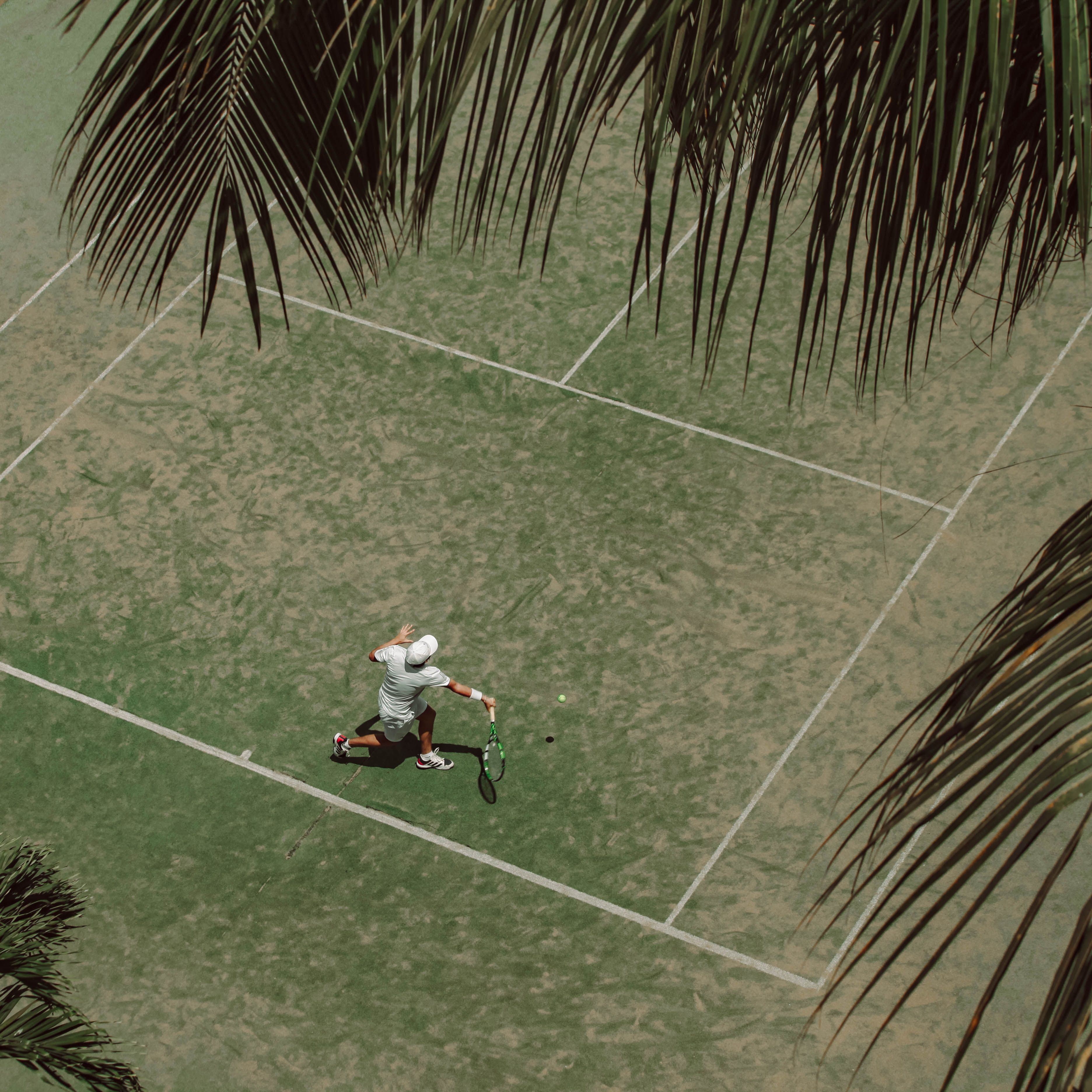 Man Playing Tennis on Court in Tropical Landscape · Free Stock Photo